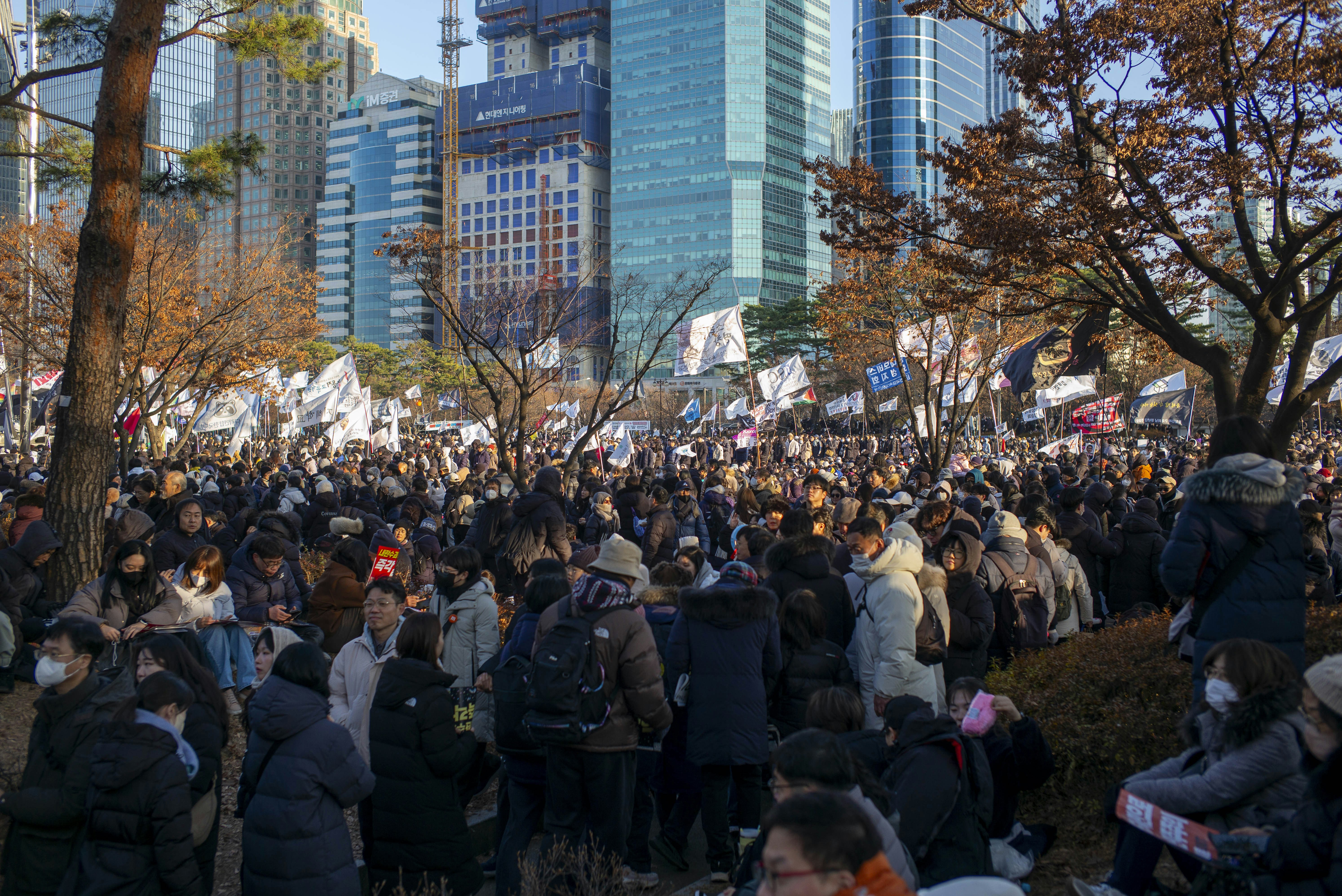 Crowd gathered in a city park, holding flags and banners, surrounded by towering skyscrapers during a public demonstration.