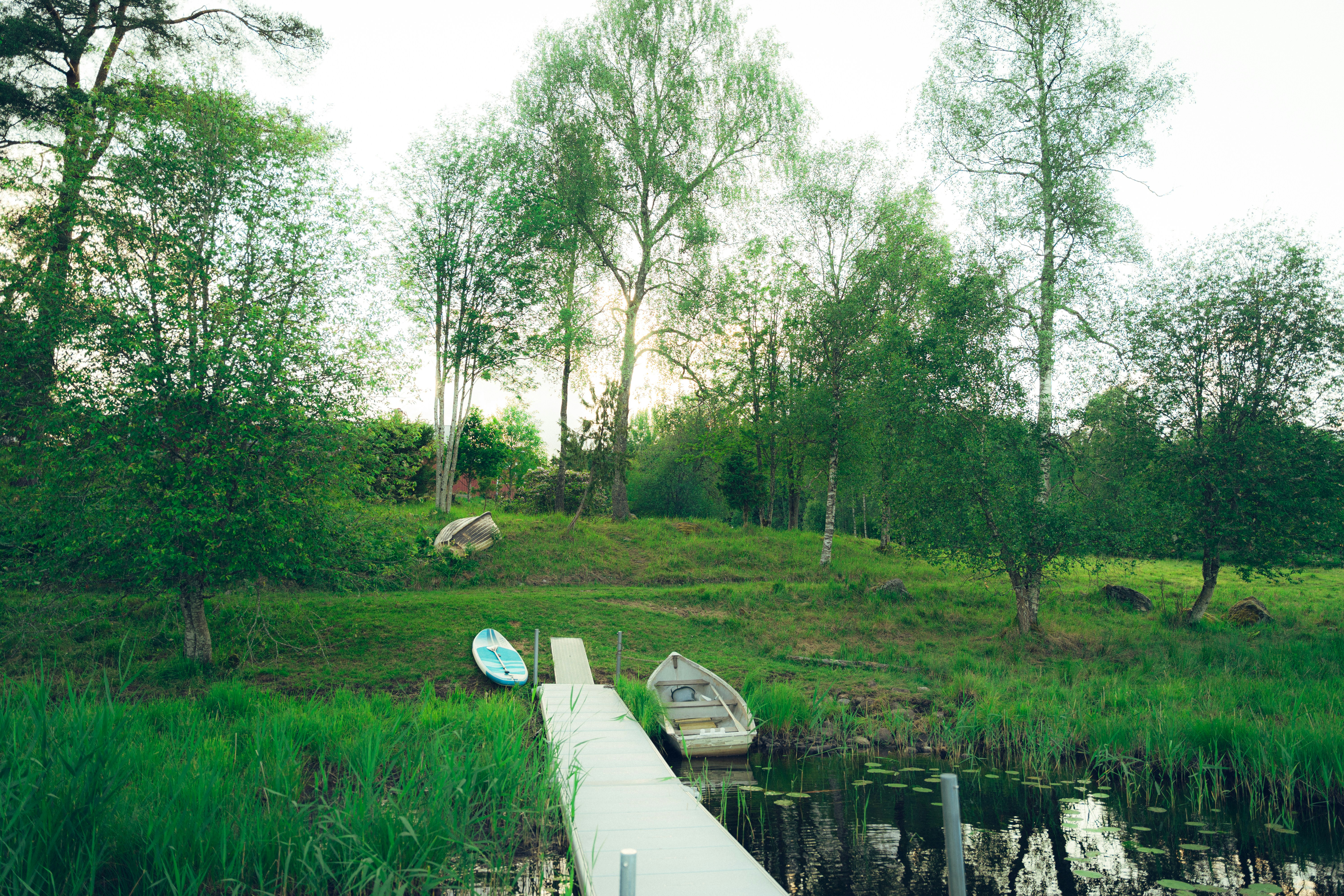 Serenity by the Water's Edge