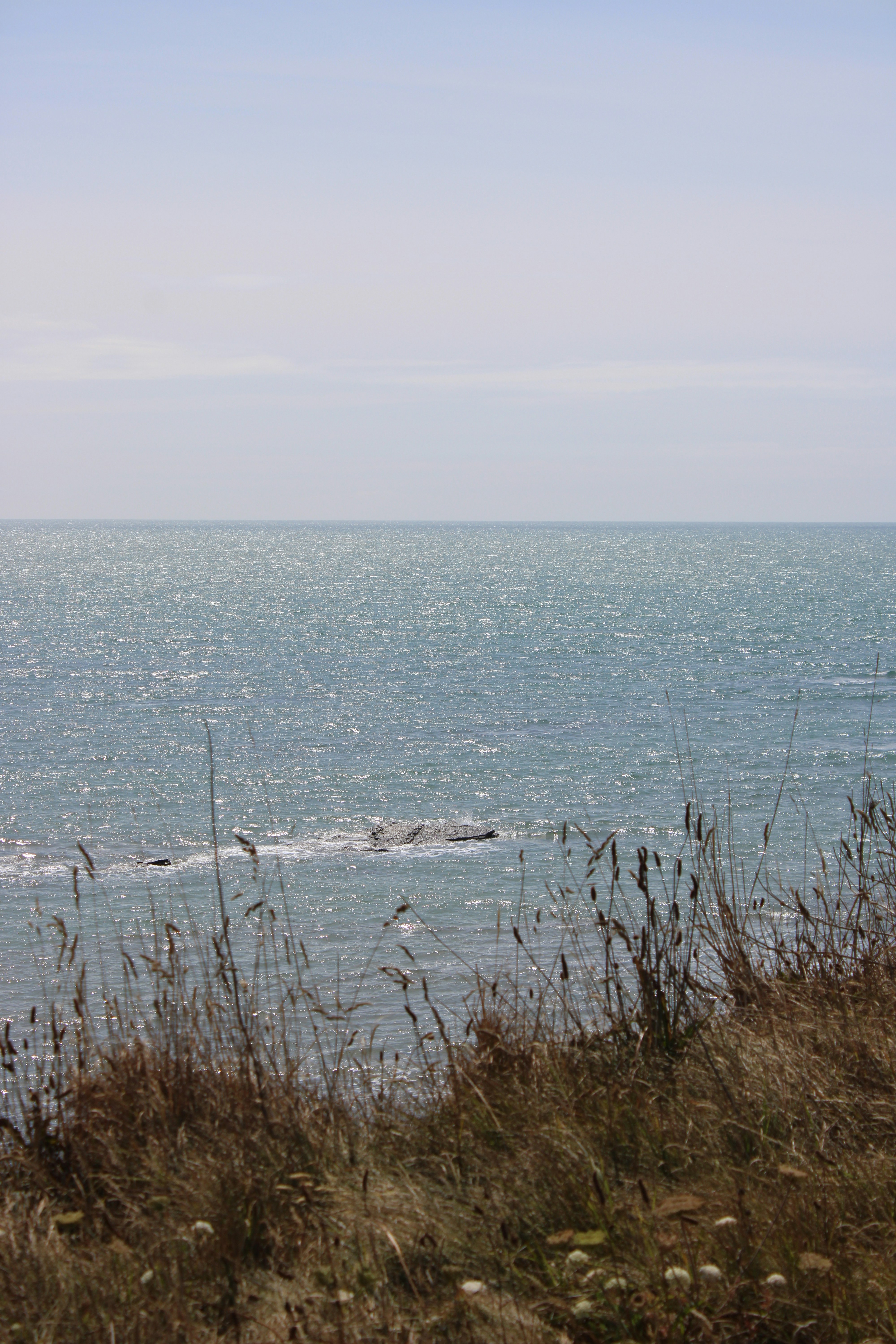 Blue ocean engulfing strata in the warm sunshine | Dried grass overlooks a sparkling ocean view.