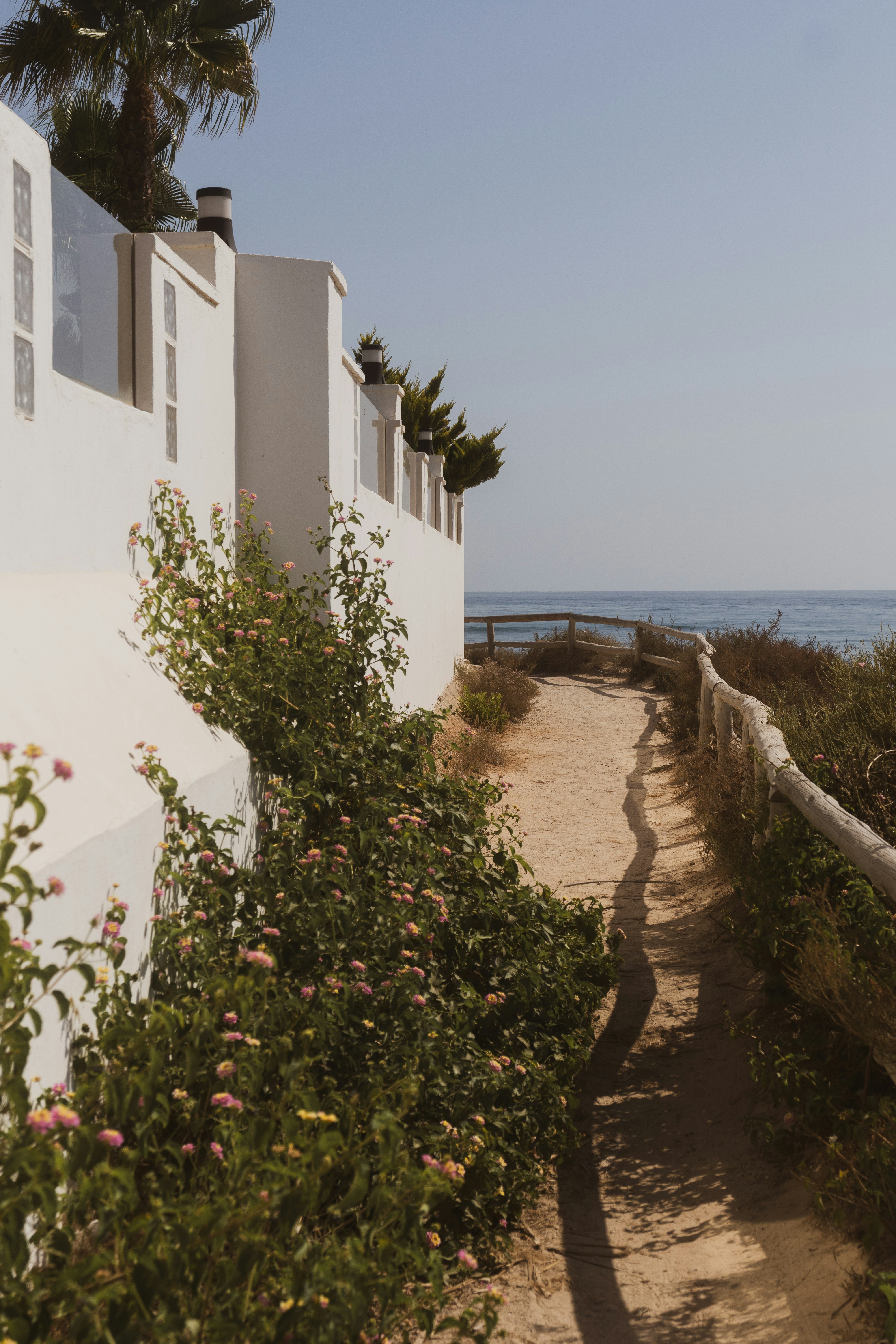 A sandy path with flowers next to the beach | A path leads to the beach beside a white wall.