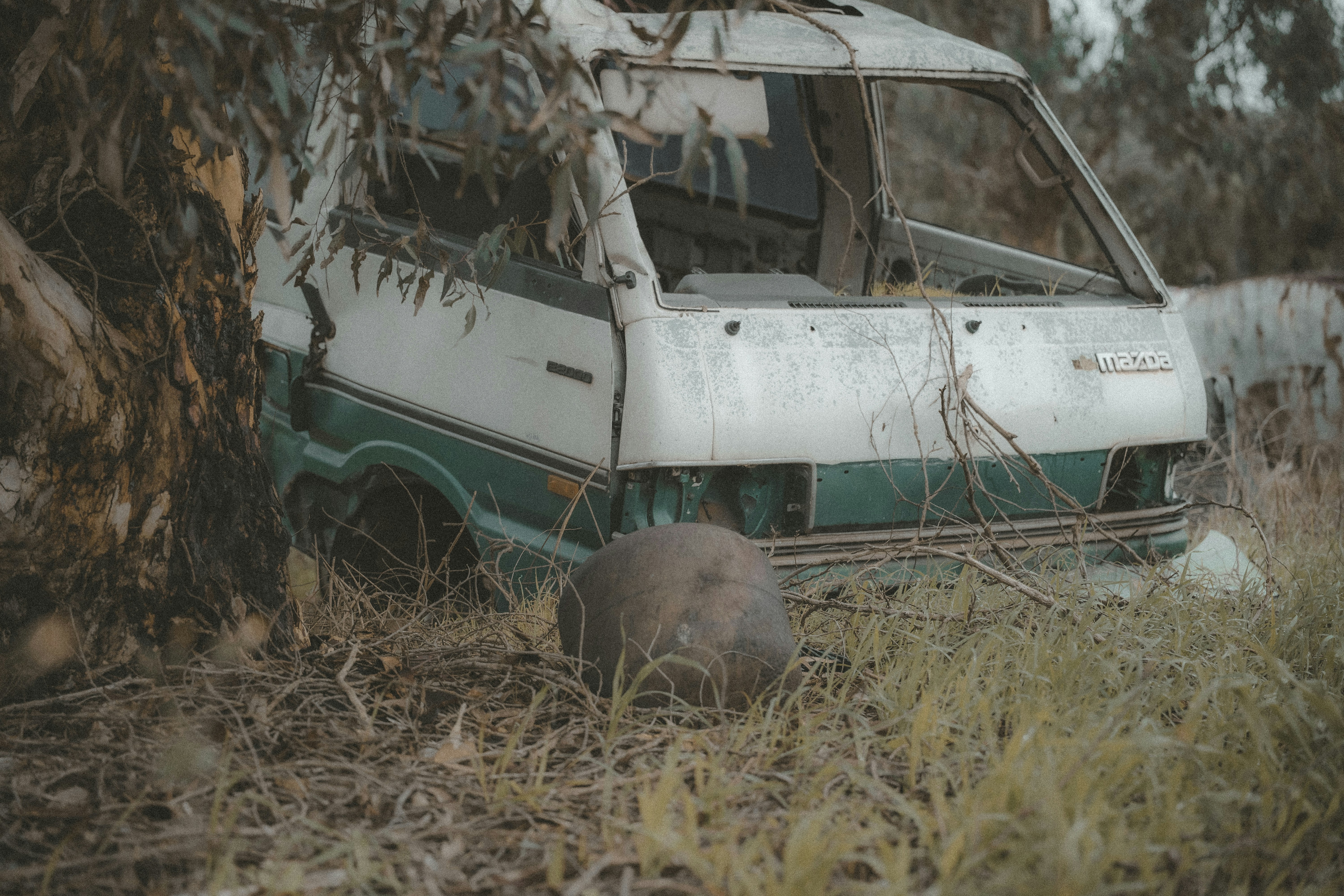 Abandoned Transit in a Field of Weeds