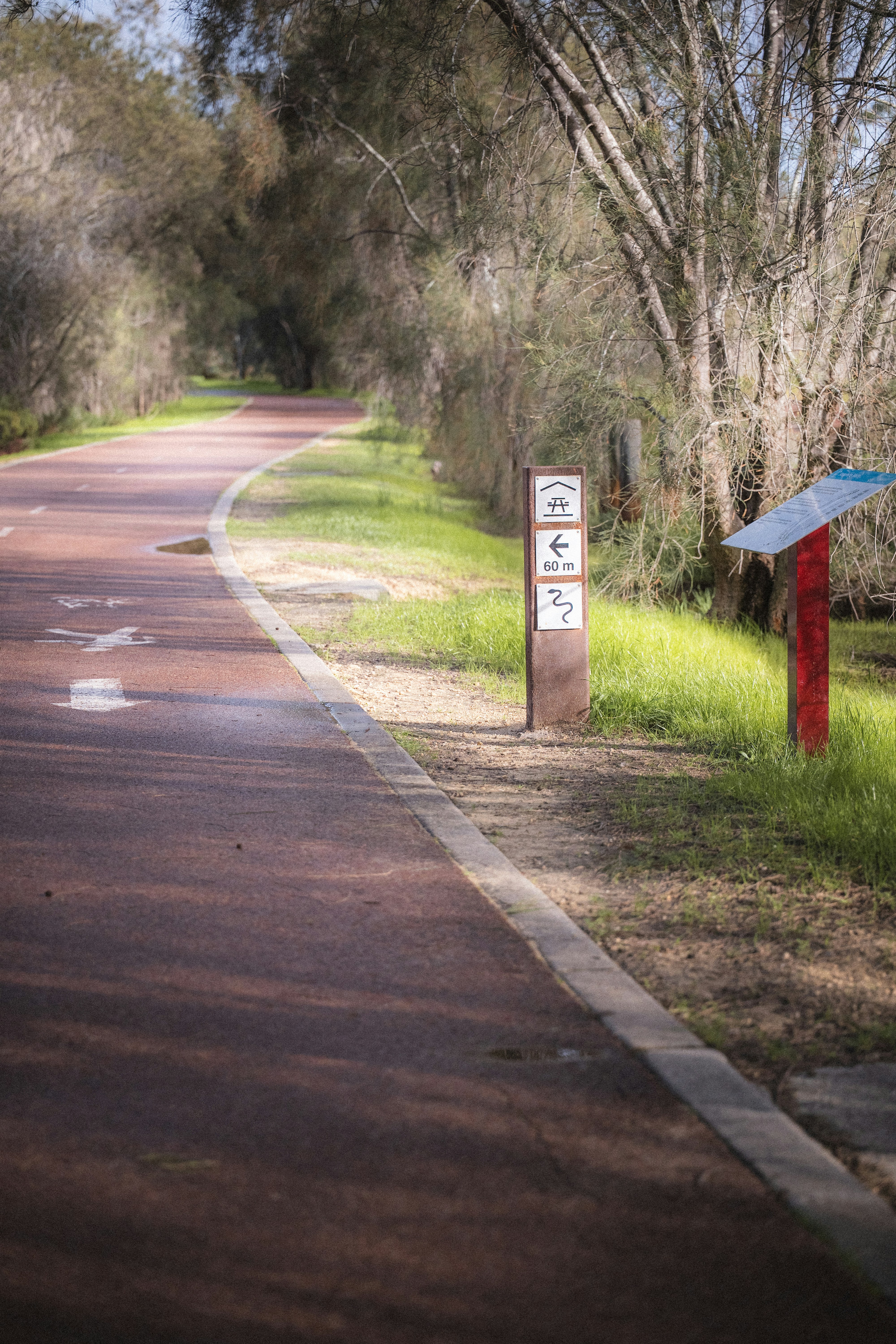 A red pathway curves through a lush, green forest.