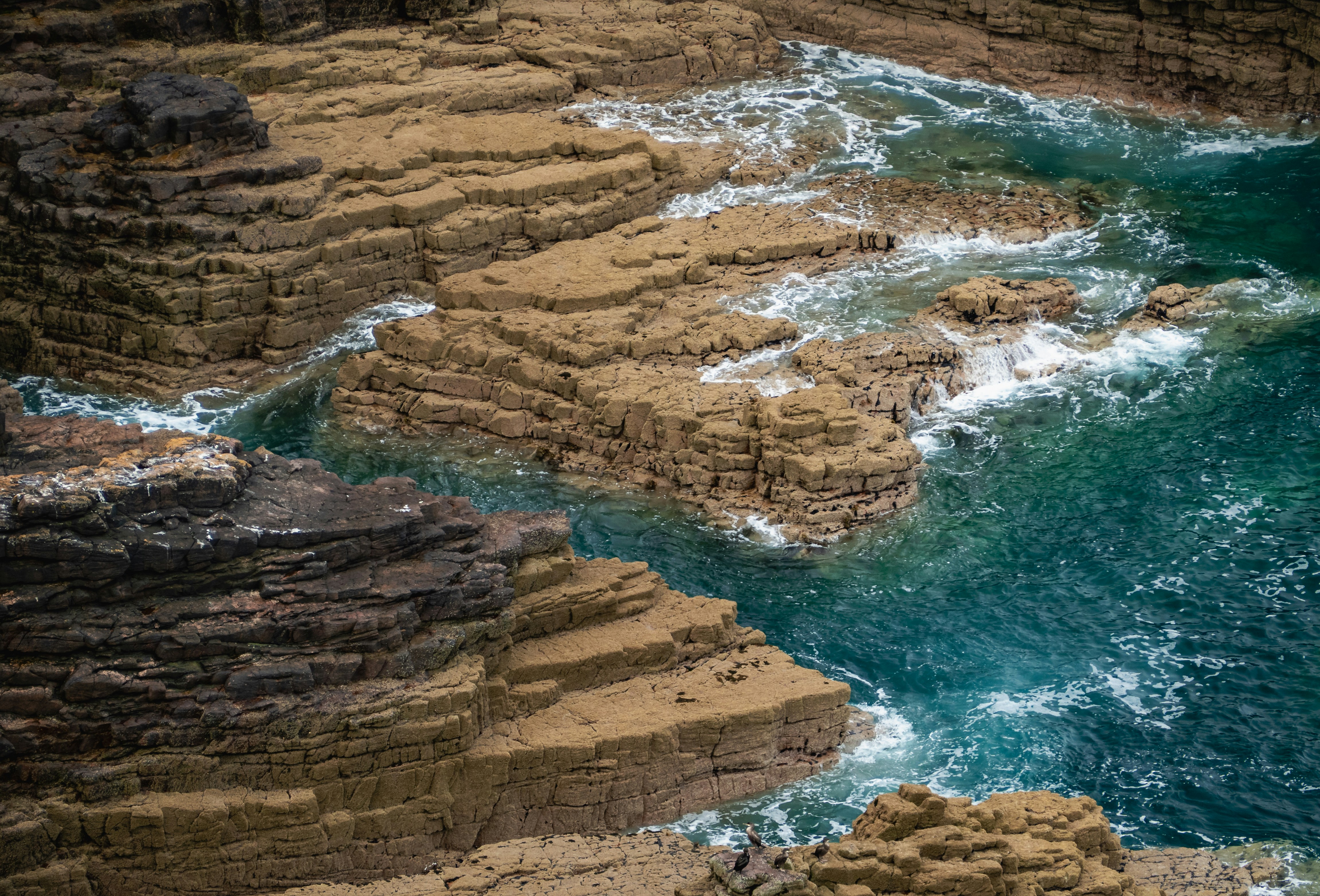 OLYMPUS DIGITAL CAMERA | Waves crash against layered rocks on the coast.