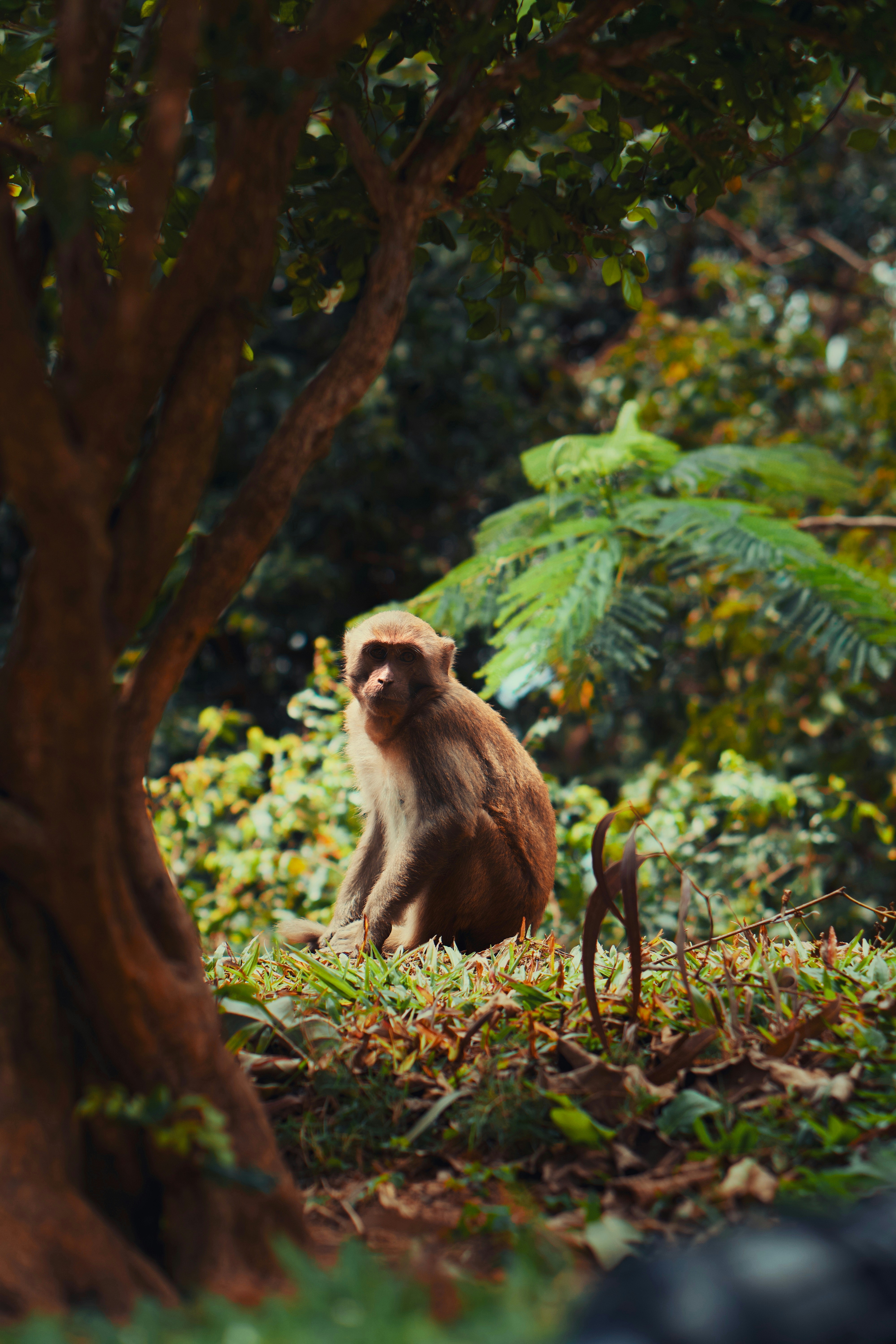 A Moment of Reflection in the Wild