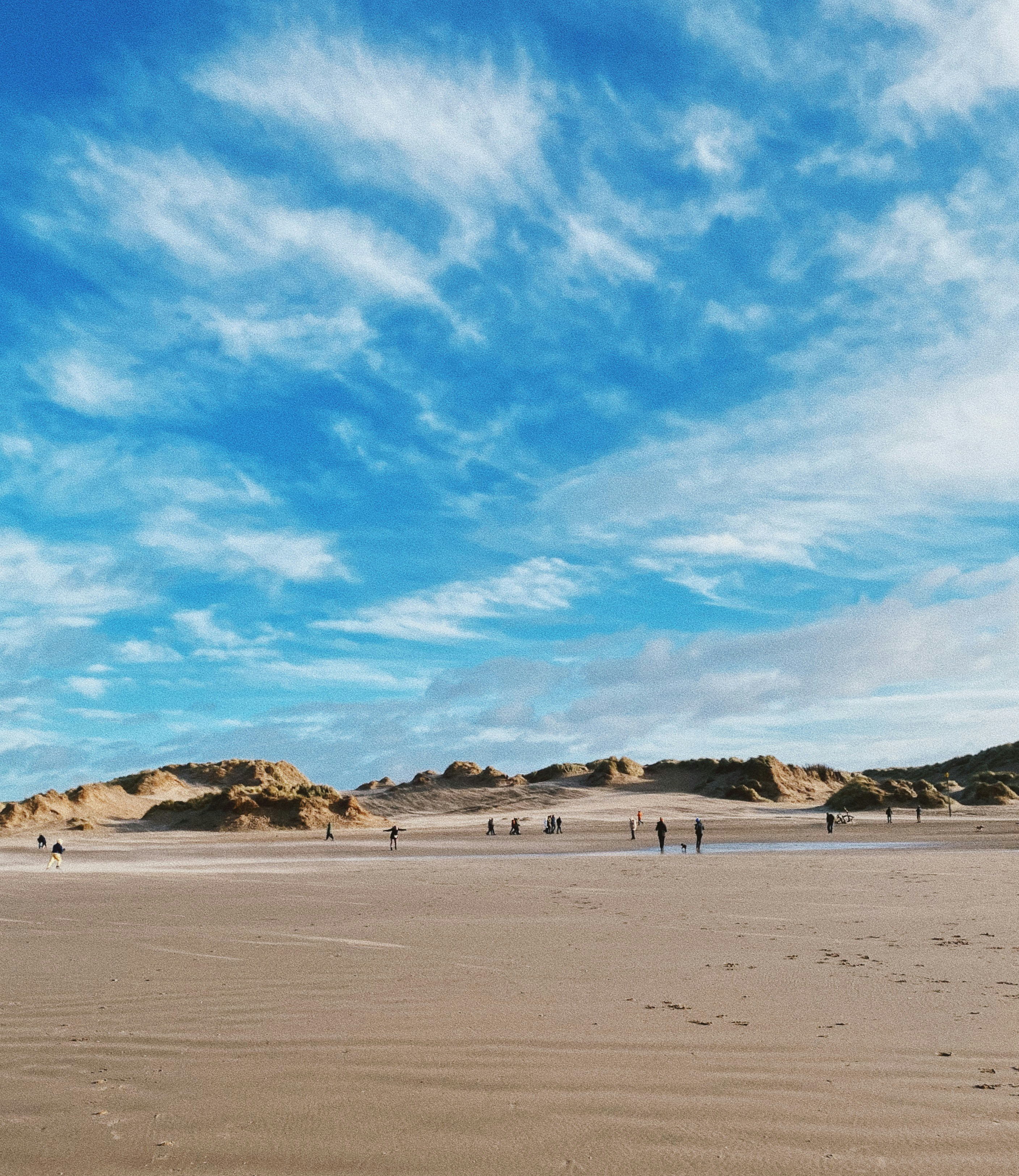 Ebb and Flow: A Day at the Shore
