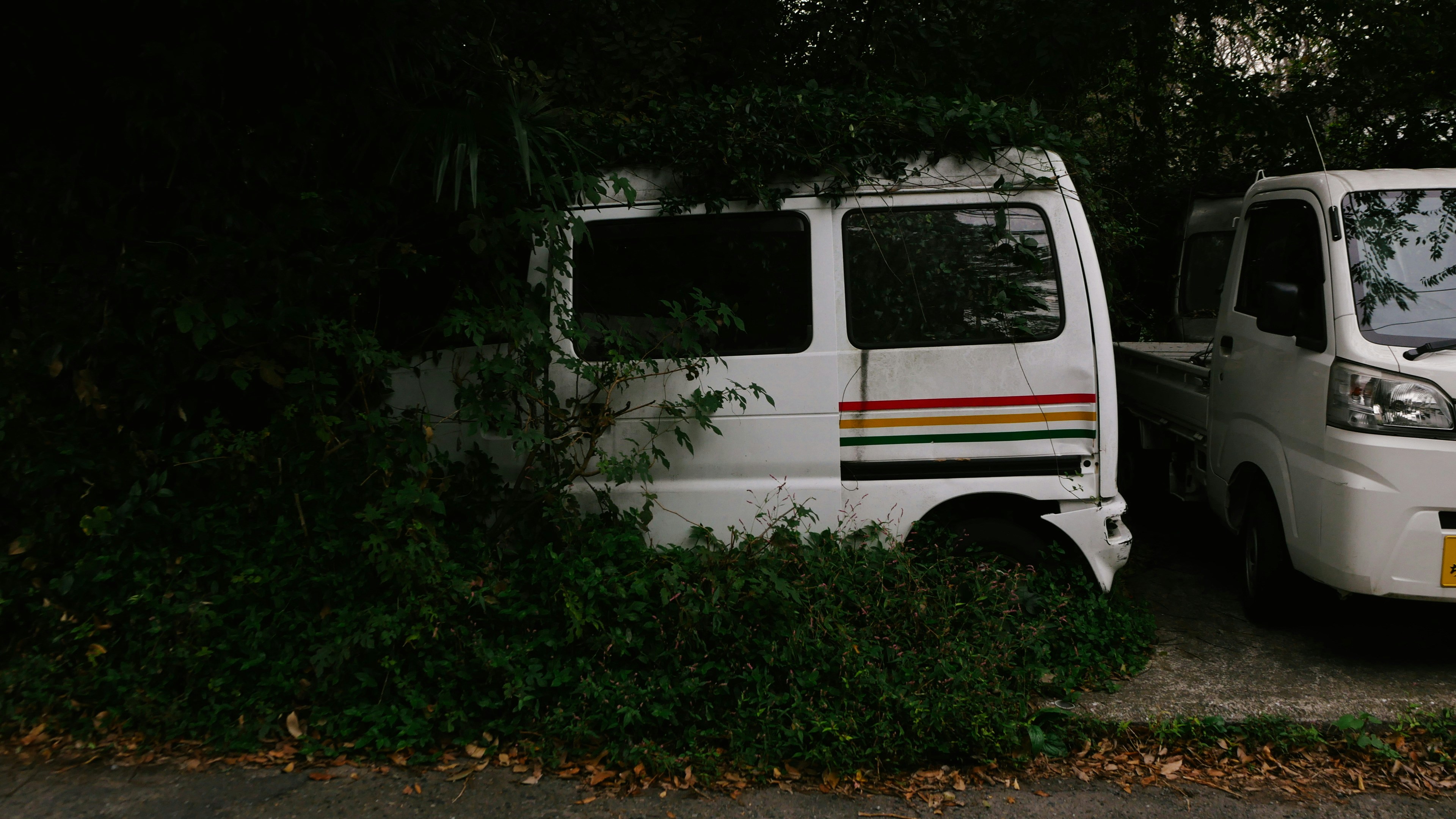 An abandoned white van is overgrown with plants.
