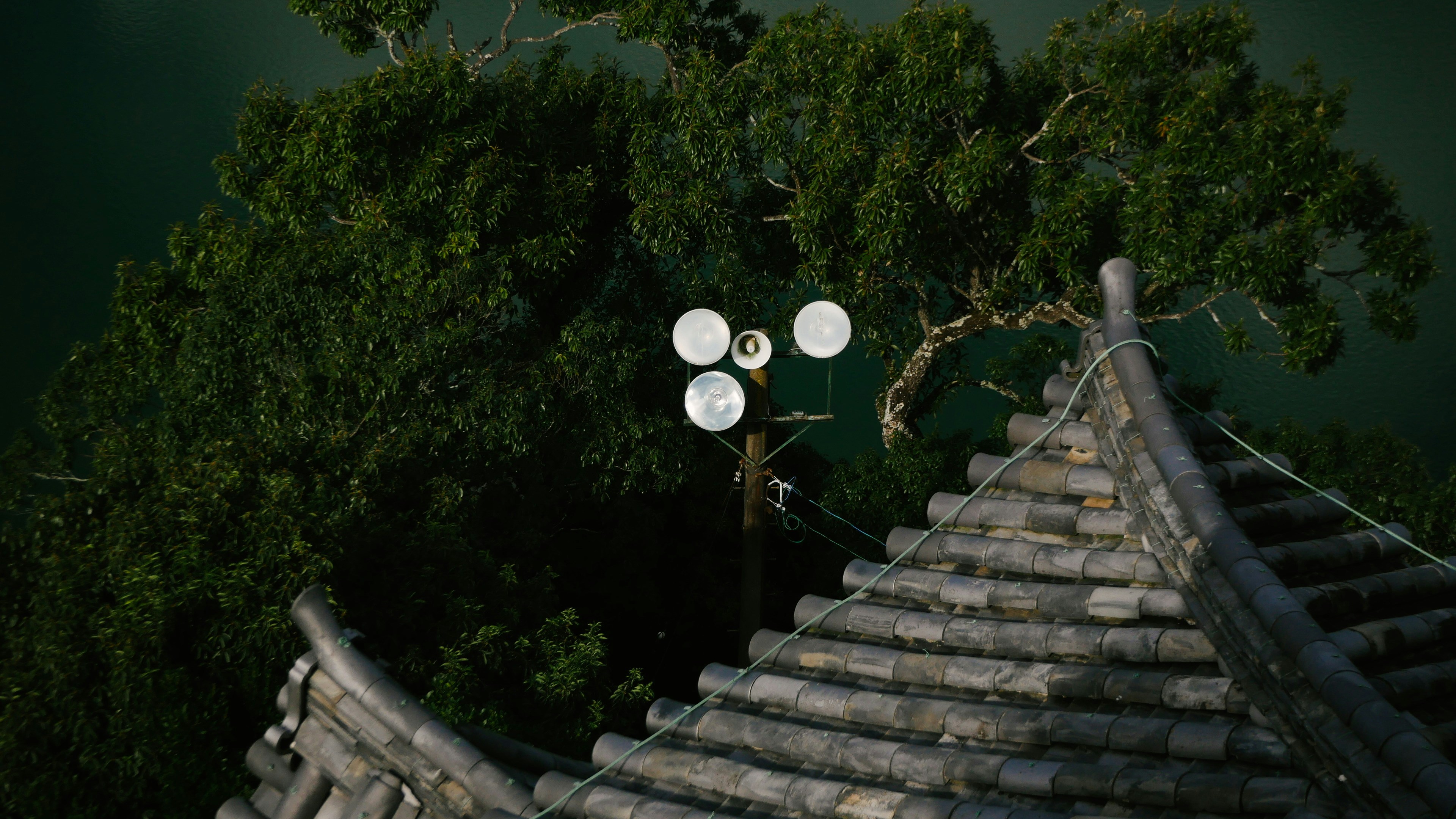Harmony of Nature and Structure