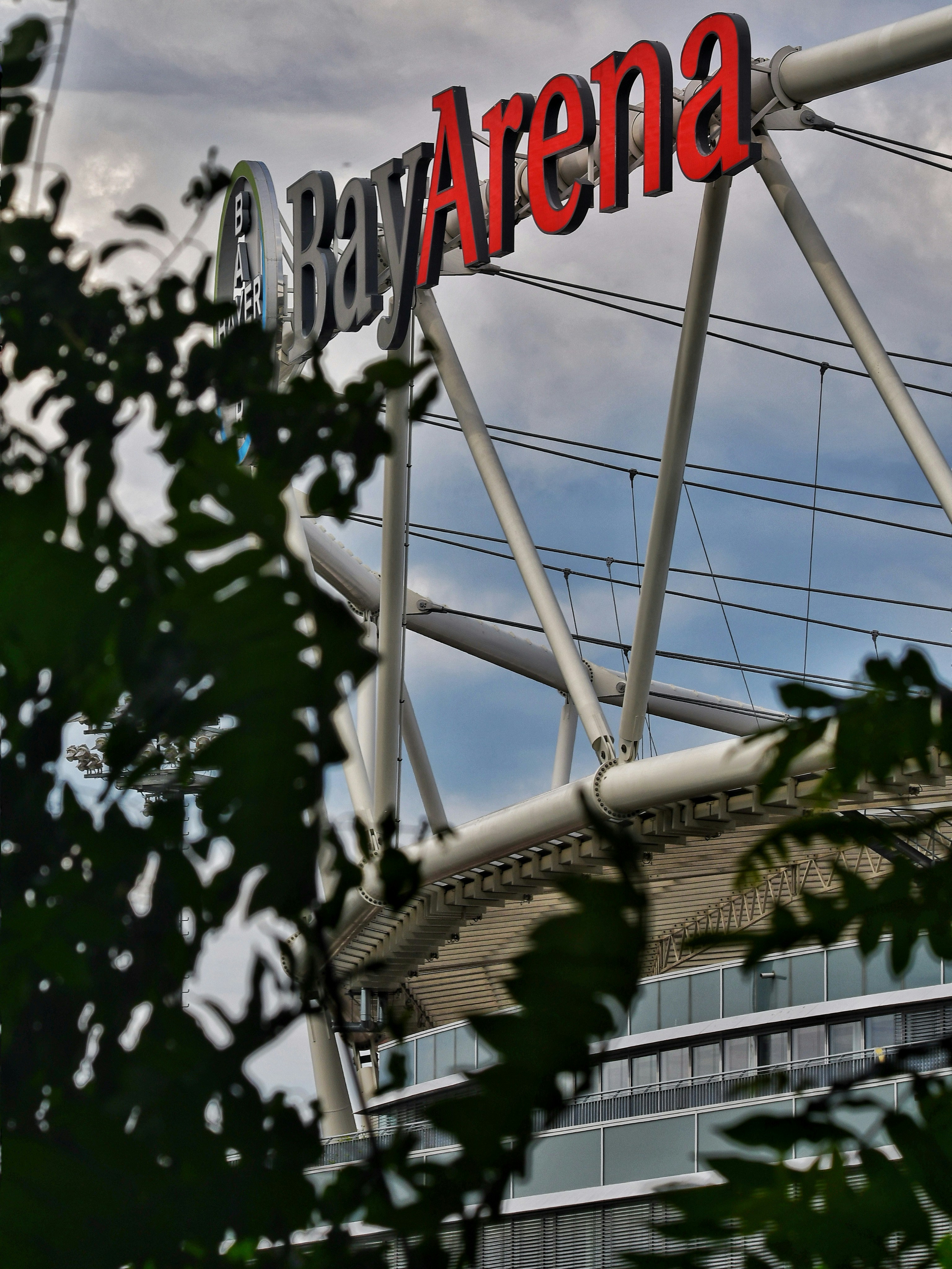 Bayarena sign seen through foliage. photo – Free City Image on Unsplash