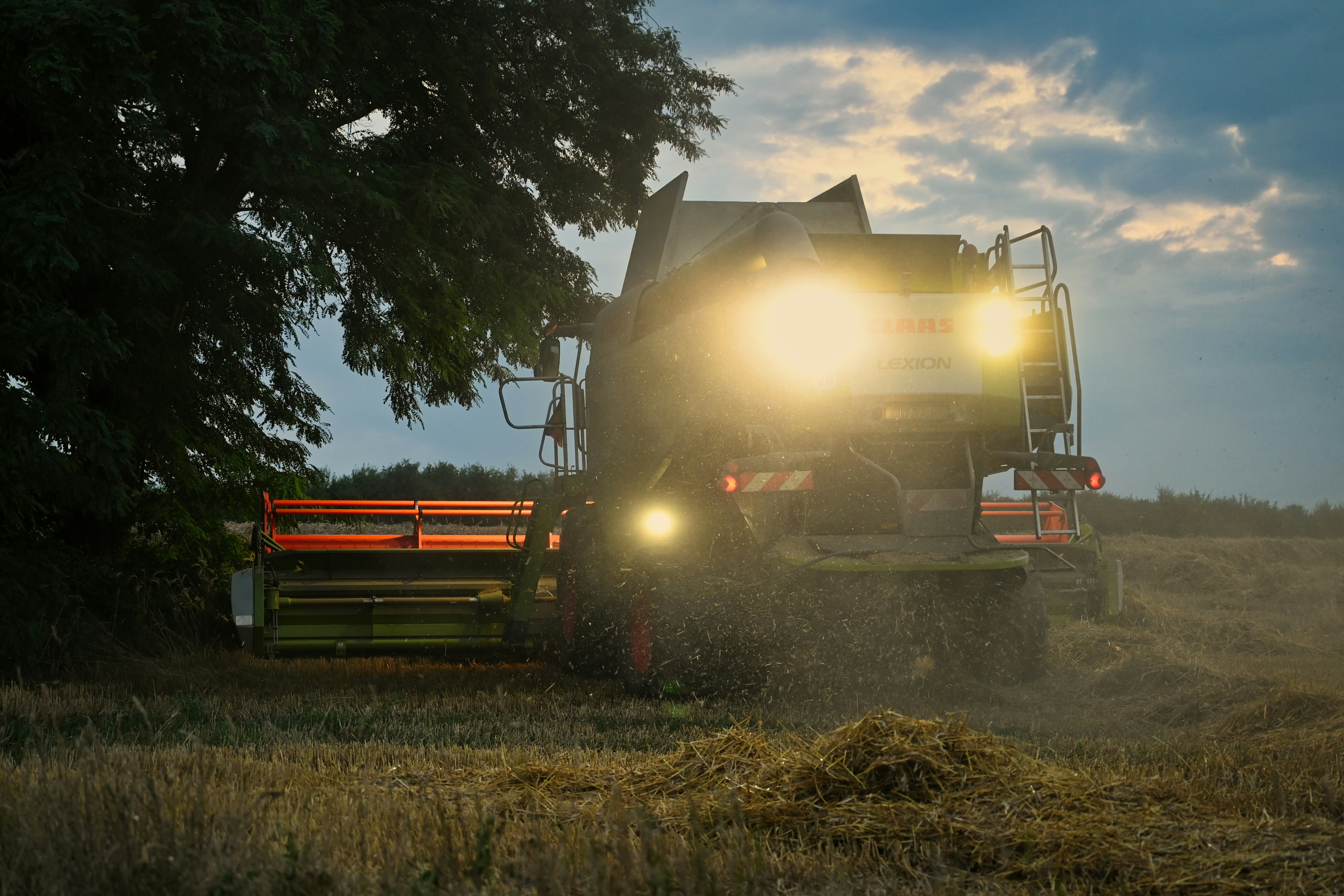 Harvesting at Dusk: A Dance of Light and Machinery