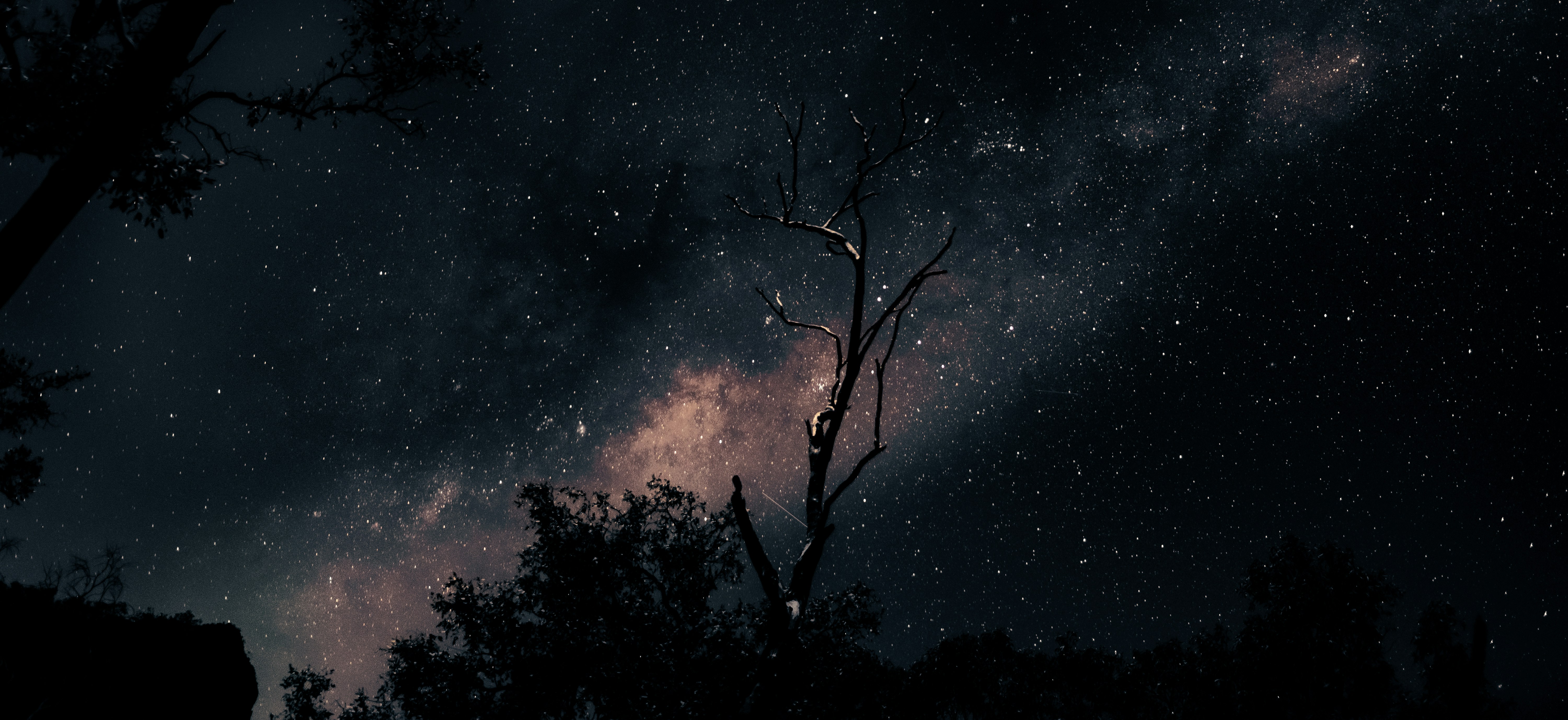 Whispers of the Cosmos: A Celestial Tapestry