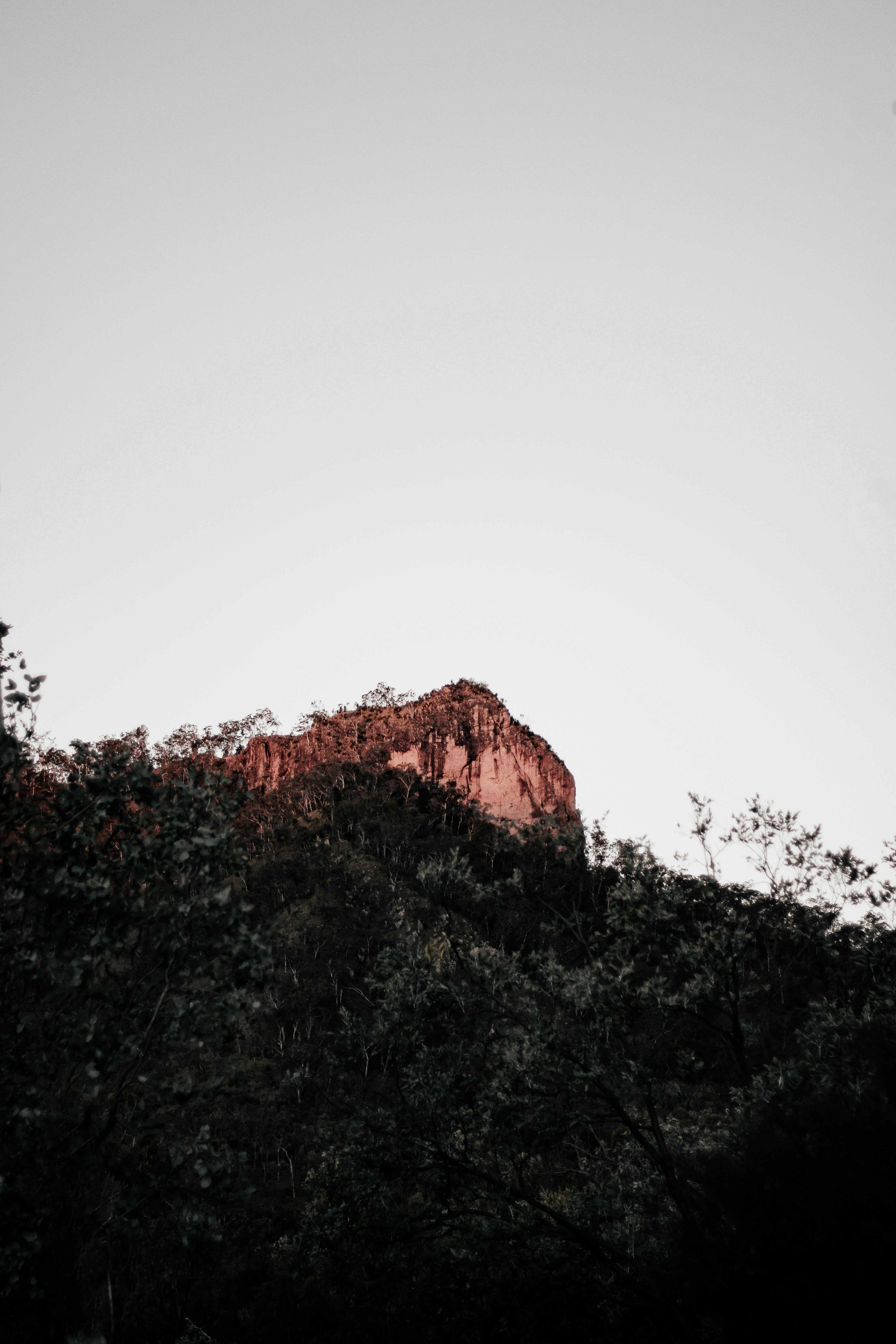 Whispers of the Mountain's Edge