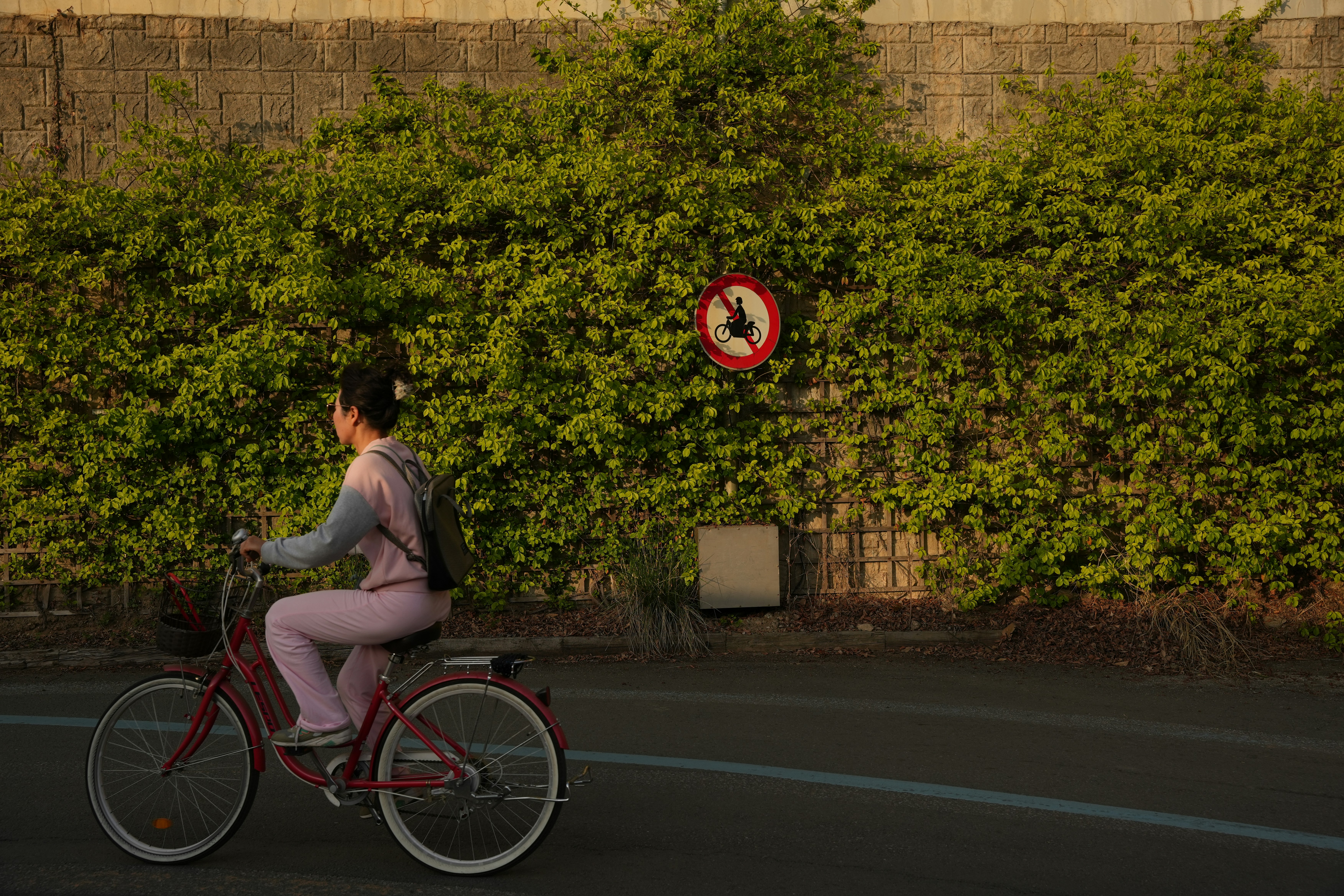 Pedaling Through Nature's Embrace