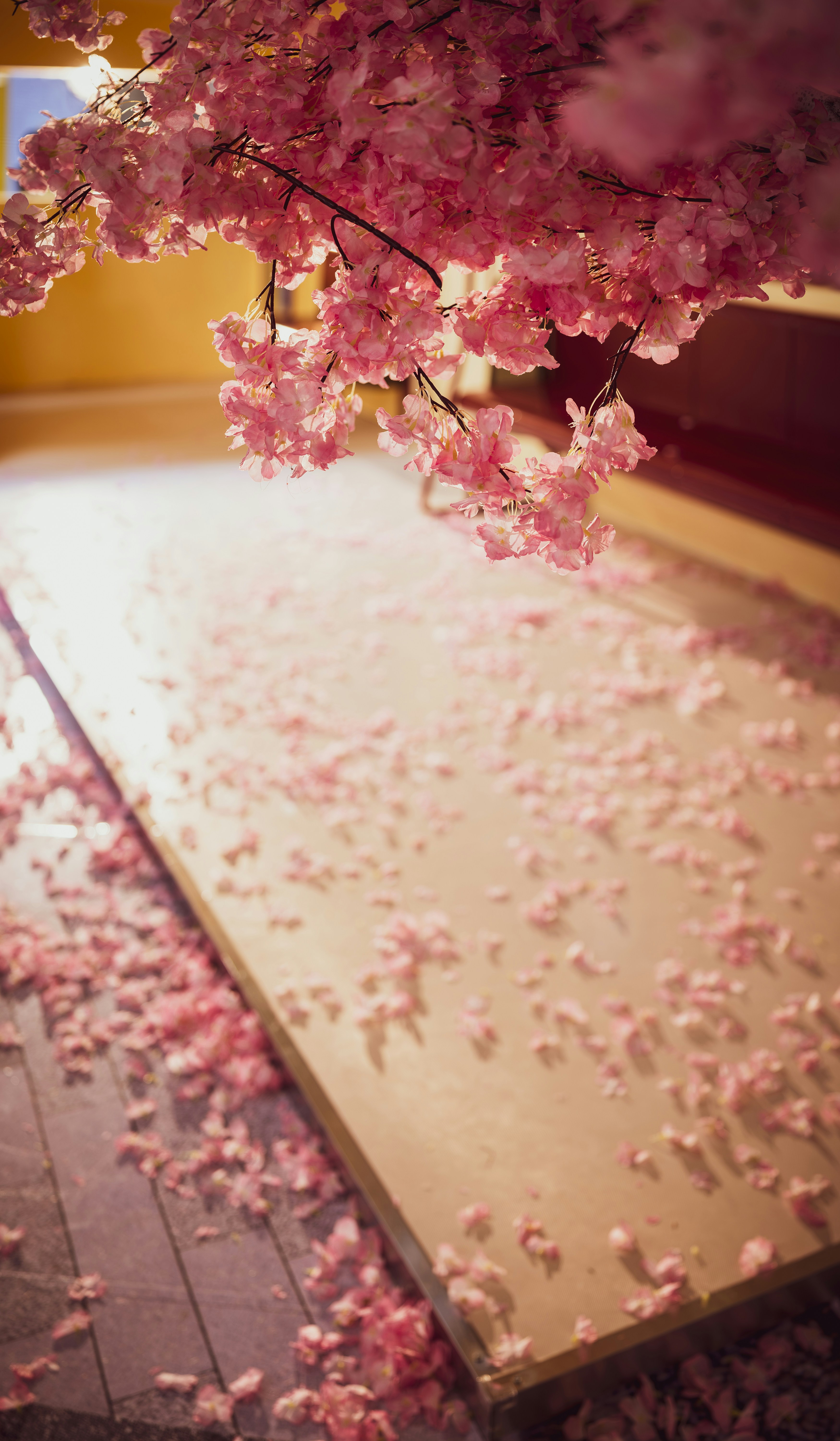 Pink blossoms and petals cover the floor.
