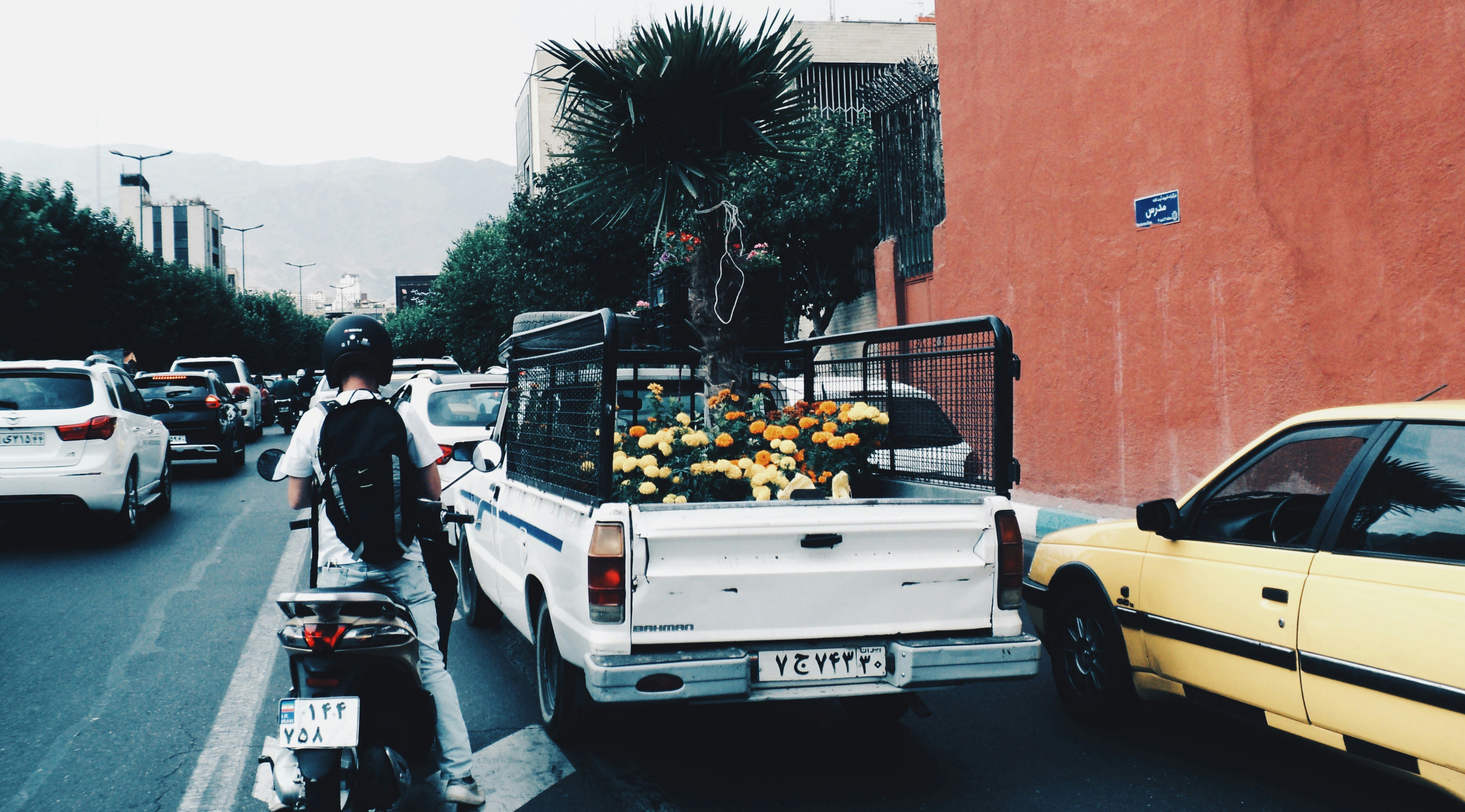 On its way to make someone's day. | A truck carries flowers down a city street.