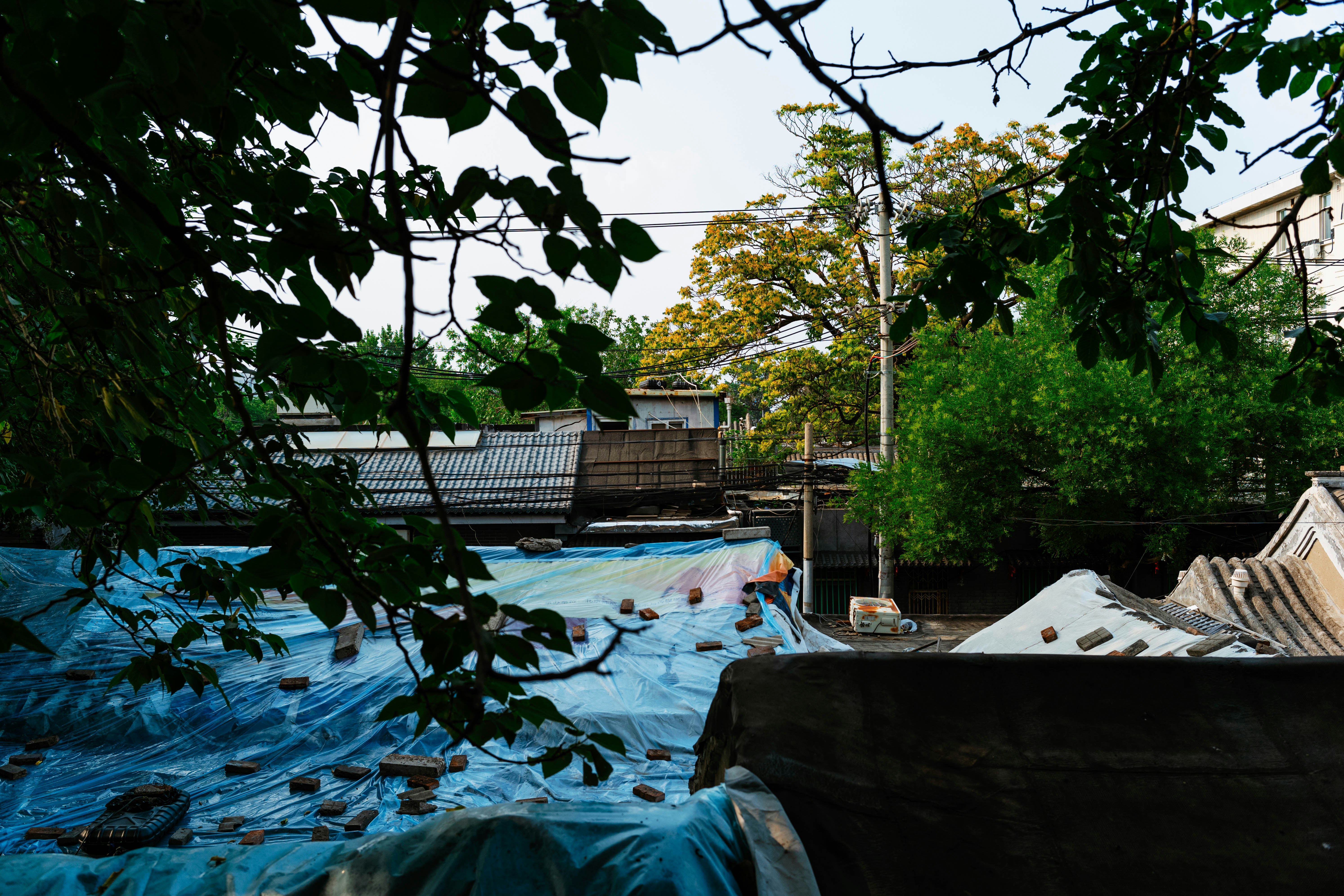 Trees overlook a construction site with blue tarp.
