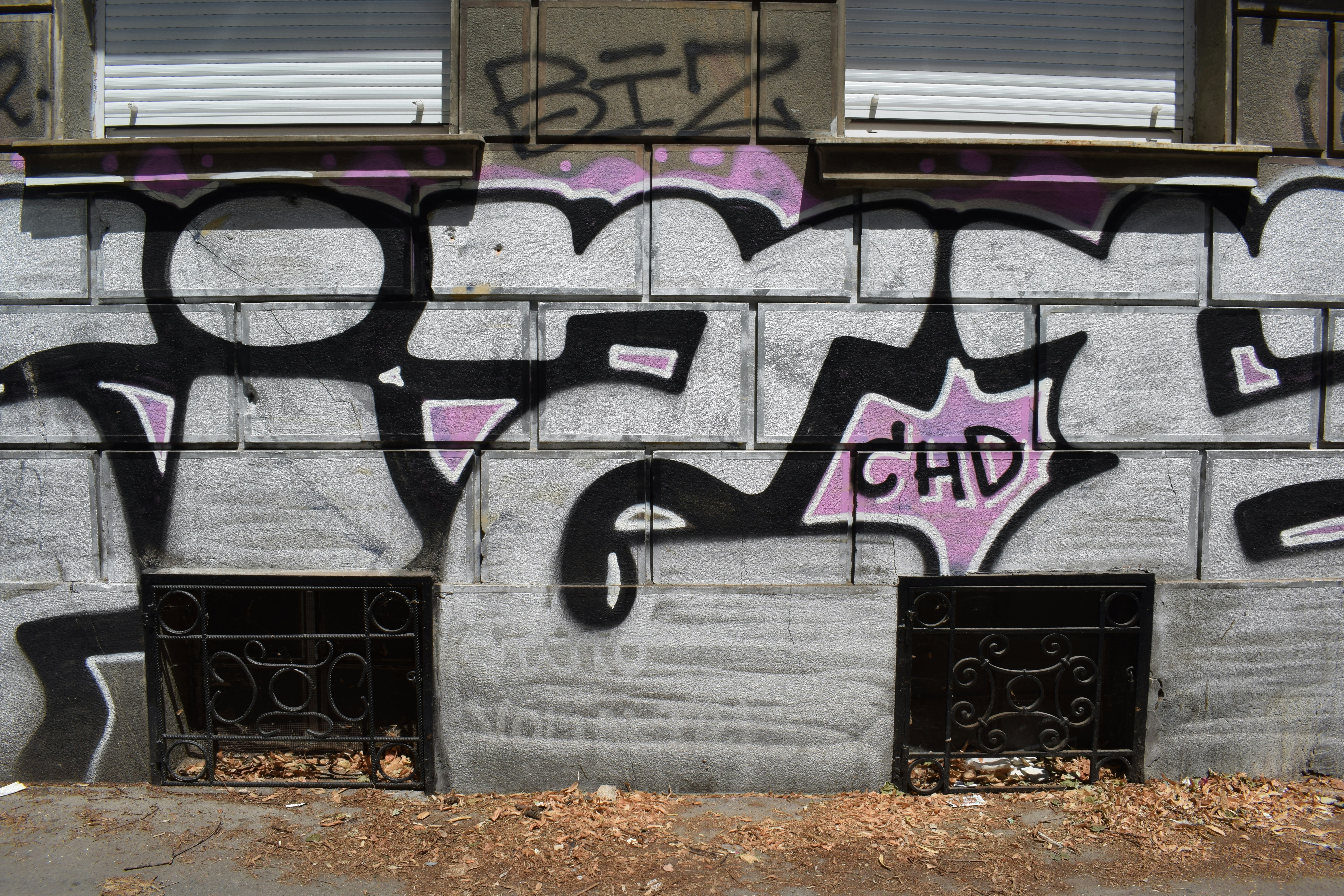 Graffiti art adorns a weathered brick wall.