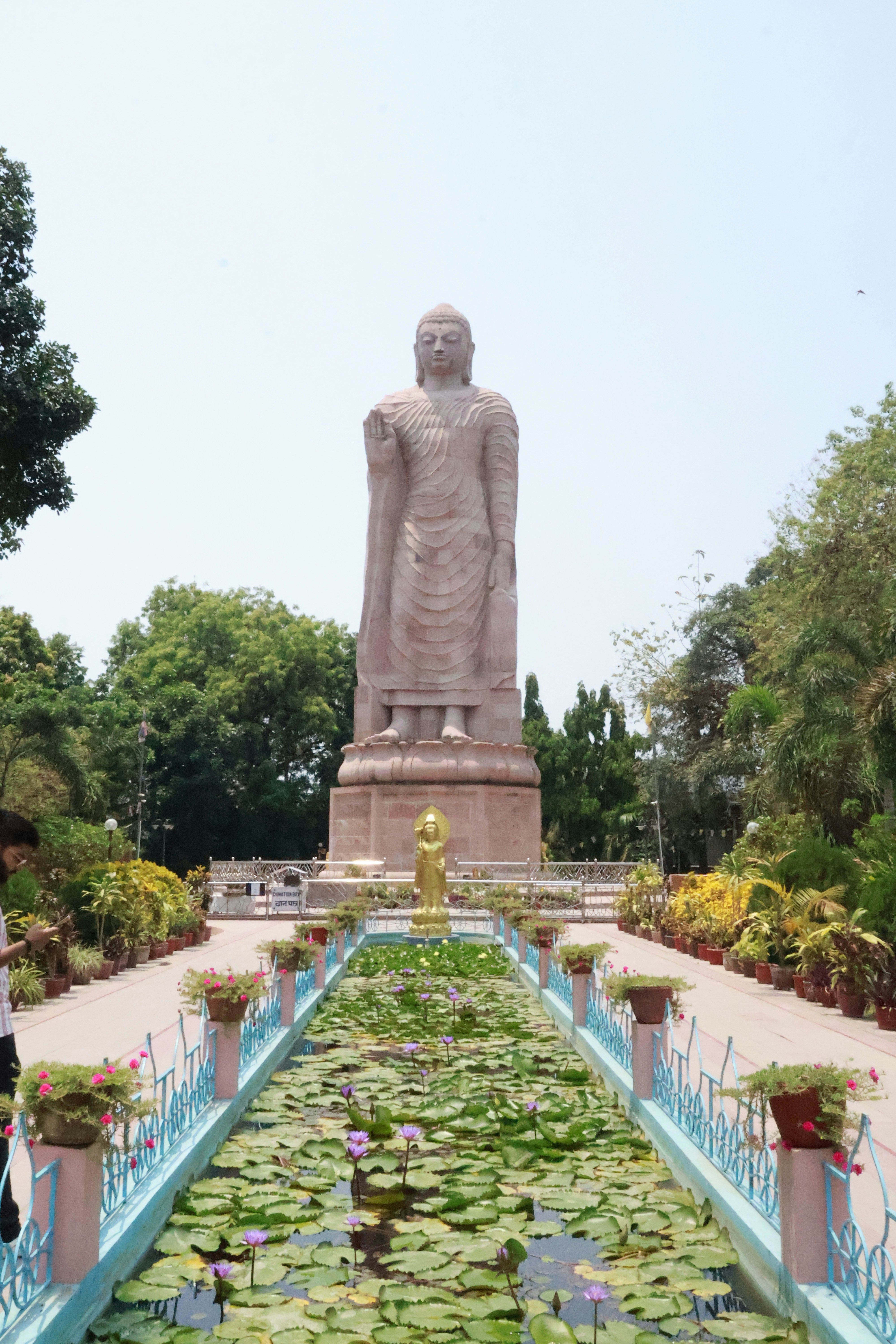 Serenity in Stone: The Buddha's Presence