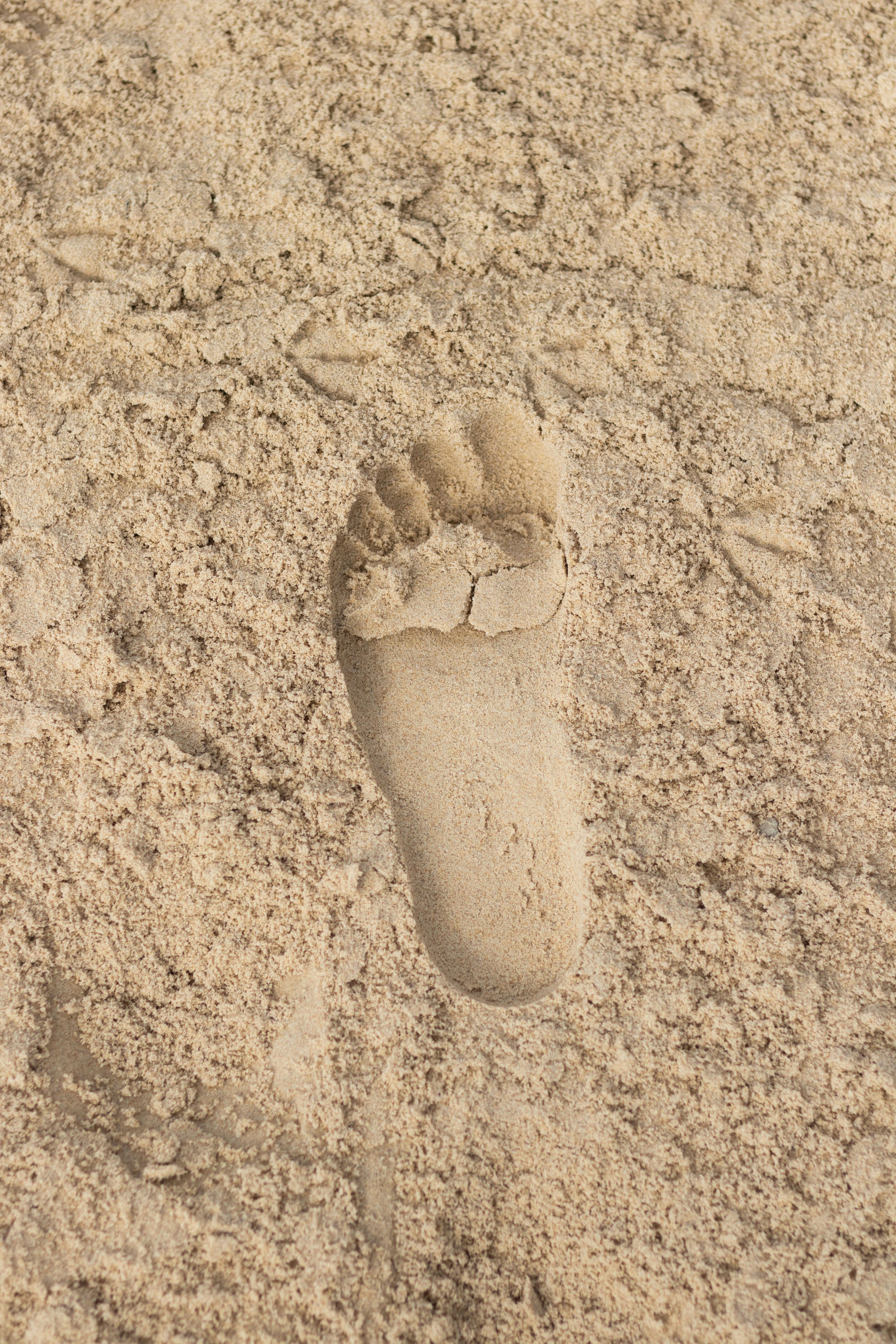 A footprint is visible in the sandy ground. photo – Free Beach Image on ...