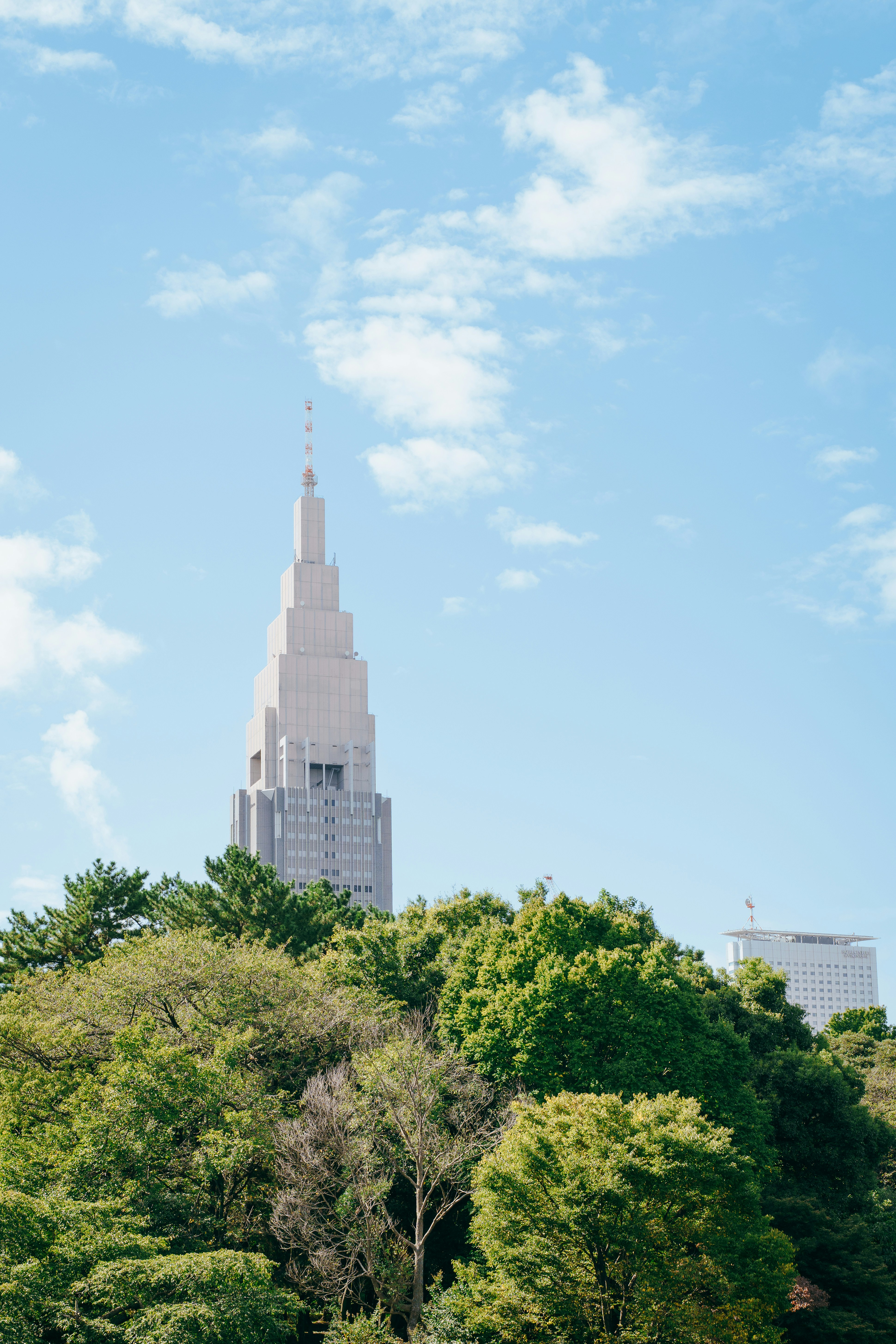 A skyscraper rises above the green trees.