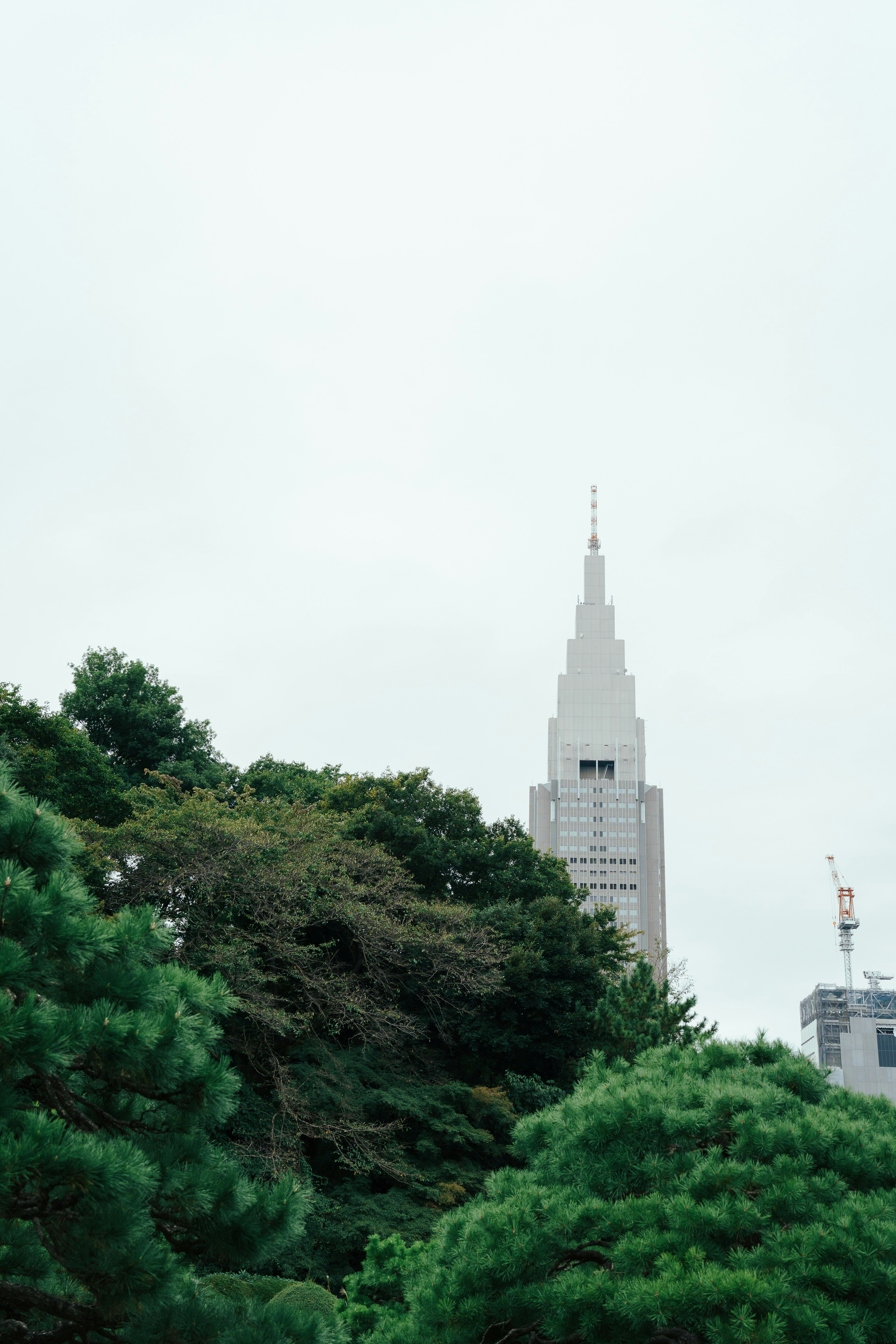 Photo by PJH with Sony Alpha 7 IV