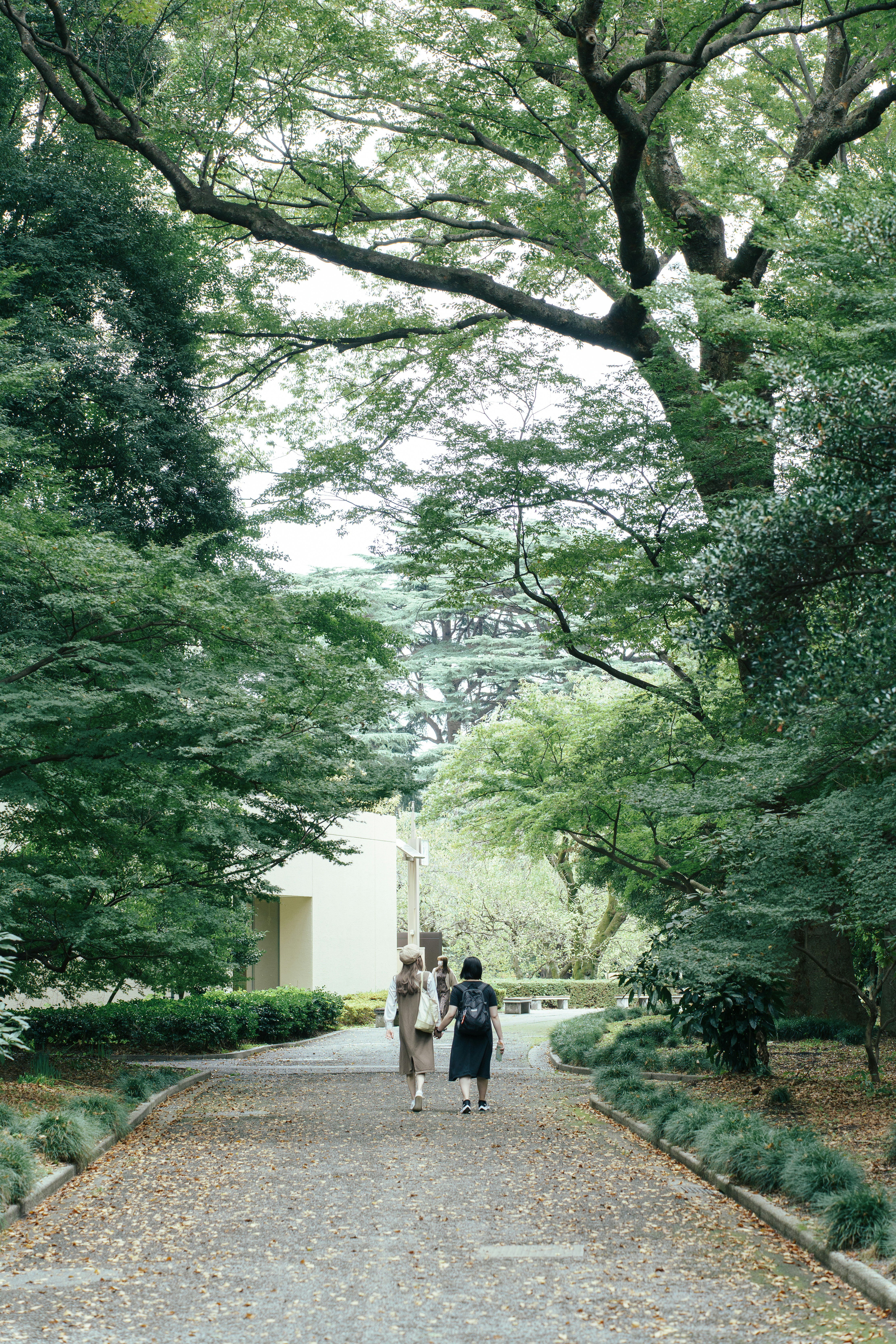 Two Friends Walking Down a Shaded Park Path