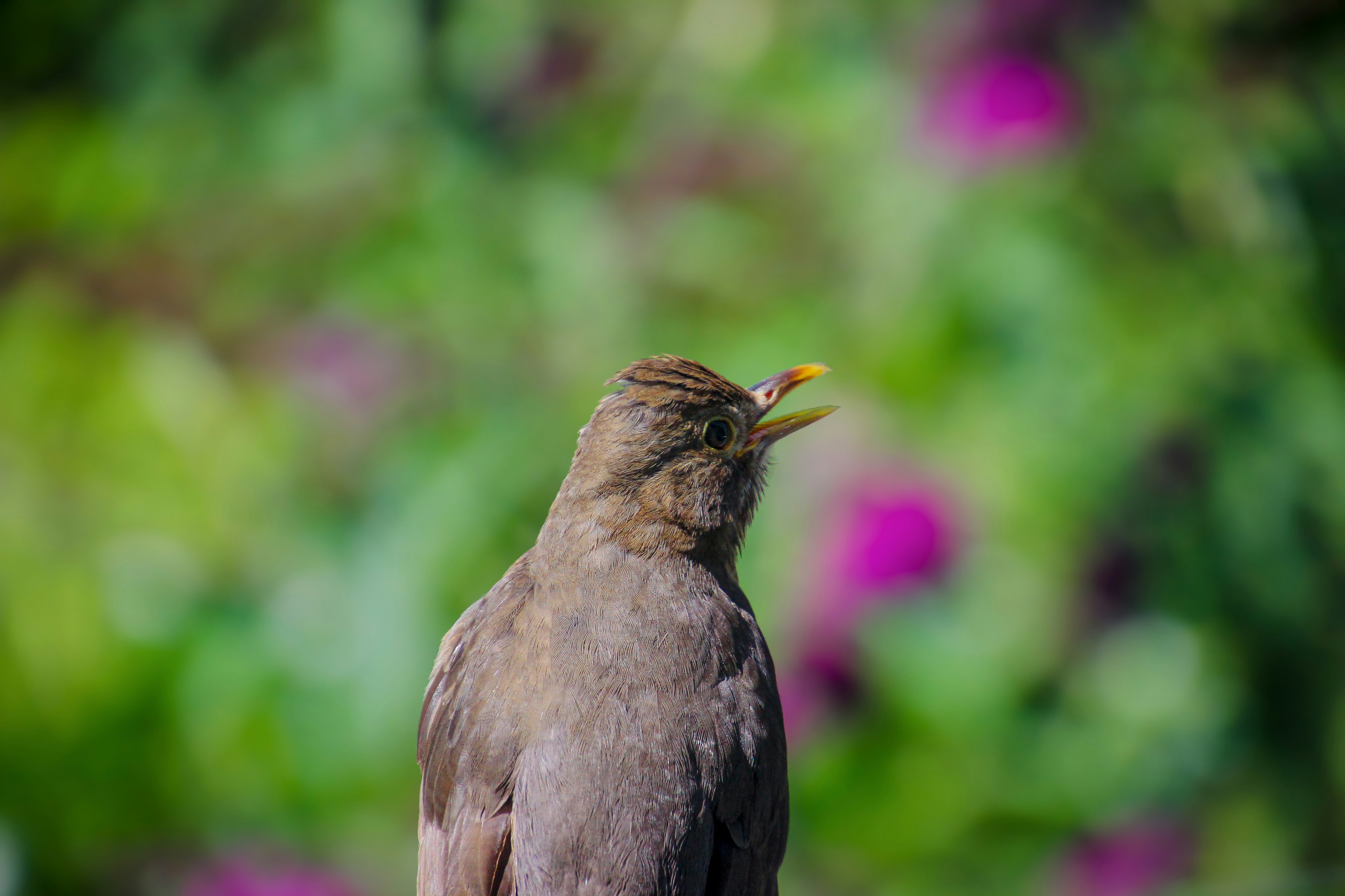 Moritz Schäfer (@moritzschaef) | Unsplash Photo Community