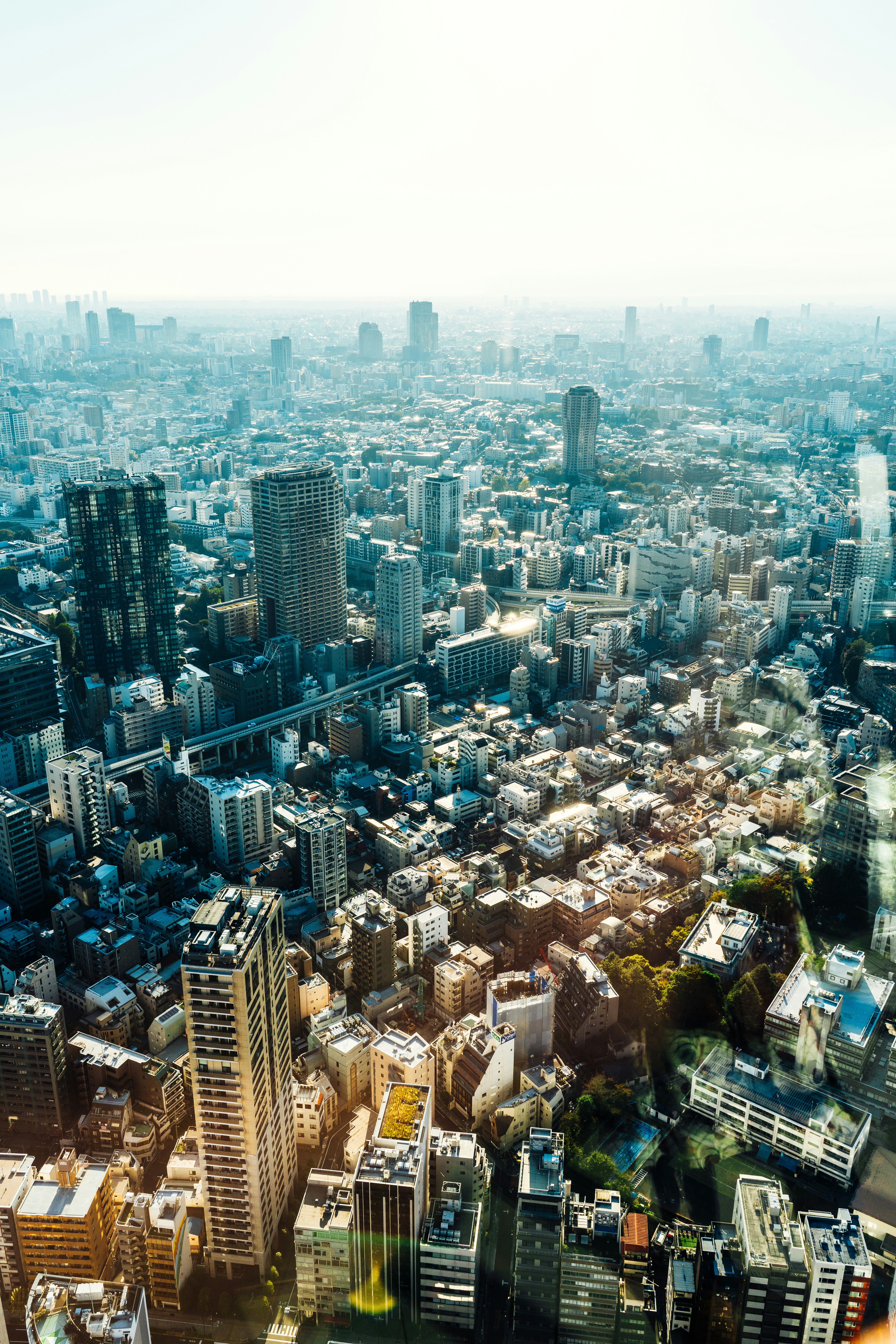 Photo by PJH with Sony Alpha 7 IV