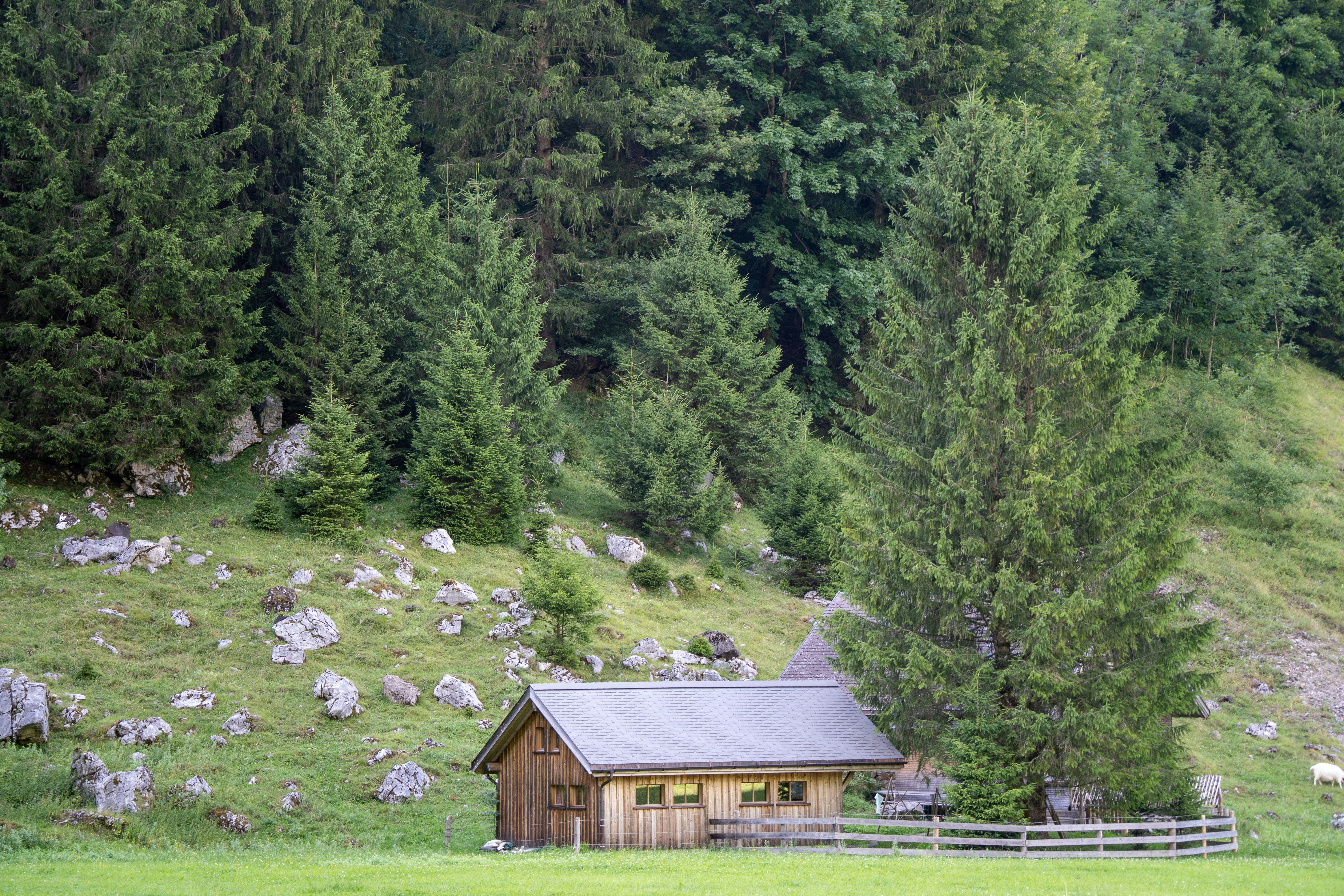A quaint wooden alpine hut nestles at the edge of a dense evergreen forest near Seealpsee in Appenzell, surrounded by mossy rocks and sloping meadows. This peaceful setting captures the rustic charm and solitude of traditional Swiss mountain life. | A small cabin sits near a lush, green forest.