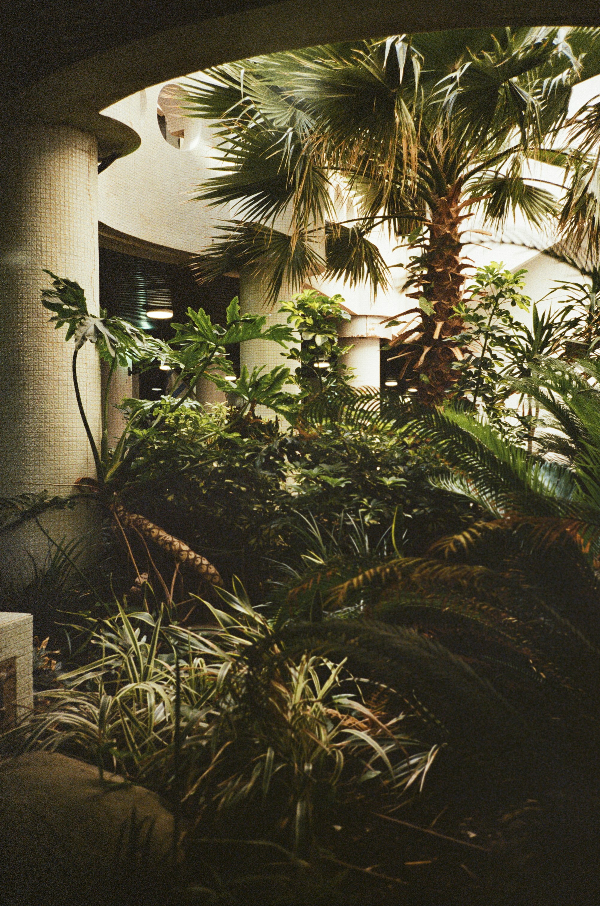 Overhanging Archway Framing a Lush Inner Courtyard