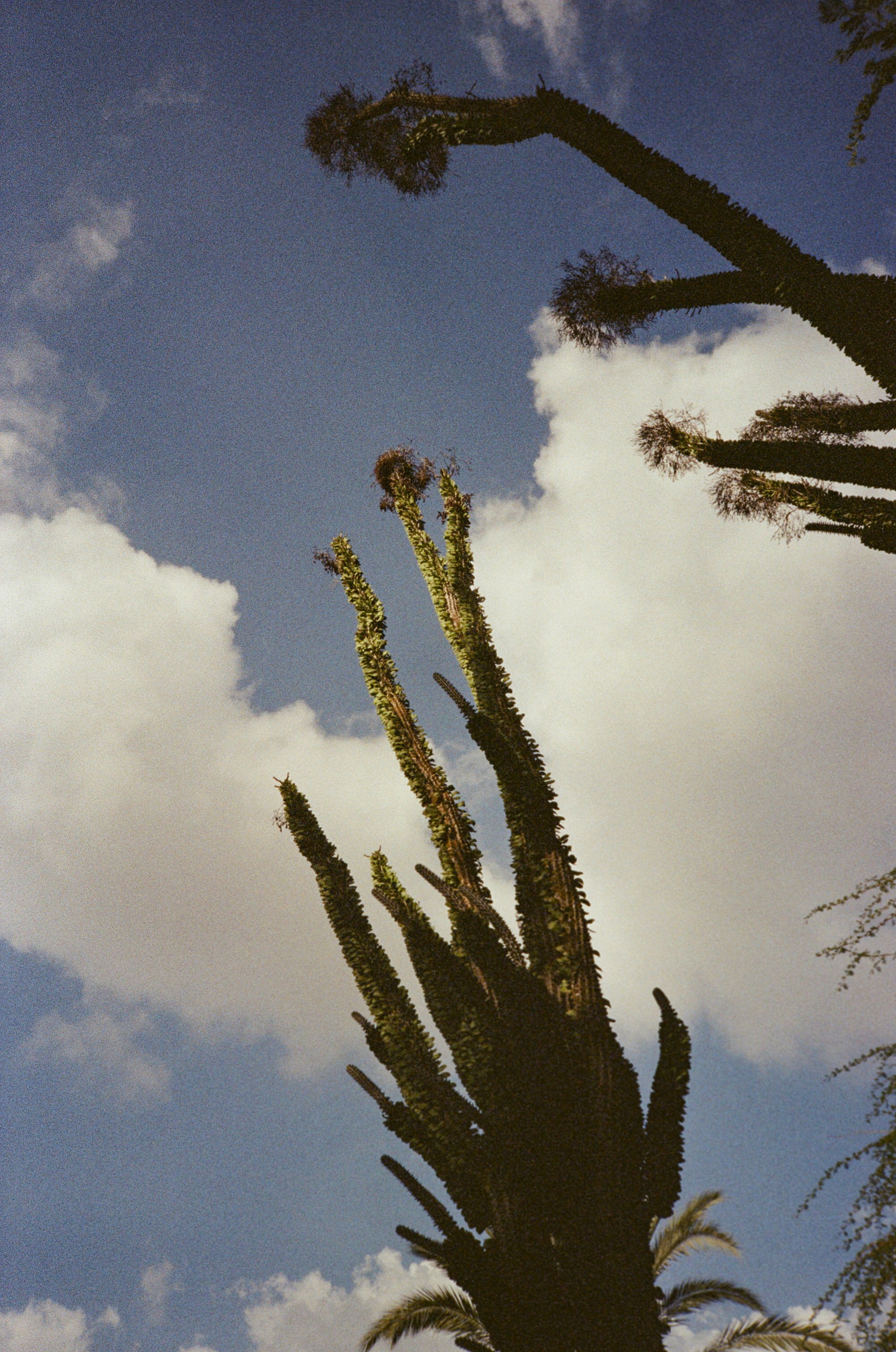 Sample photo from Konica Big Mini HG