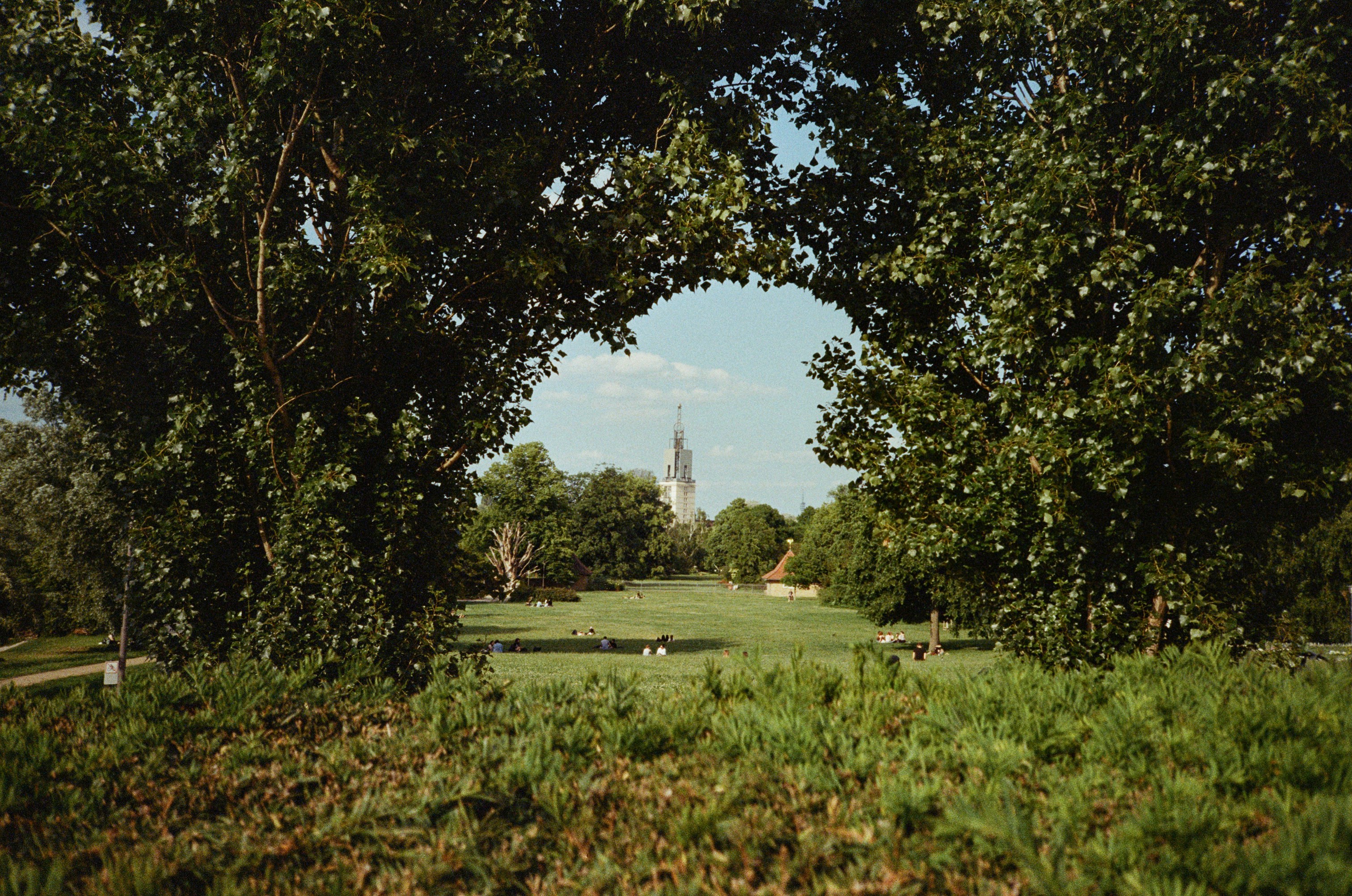Trees frame a view of a church.