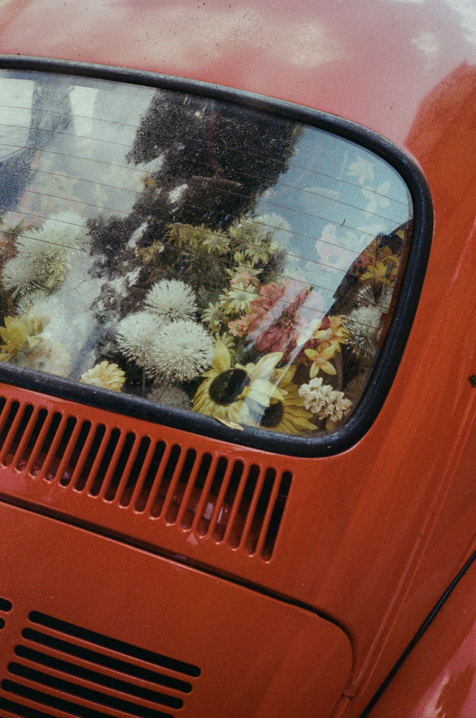 Sample photo from Konica Big Mini HG