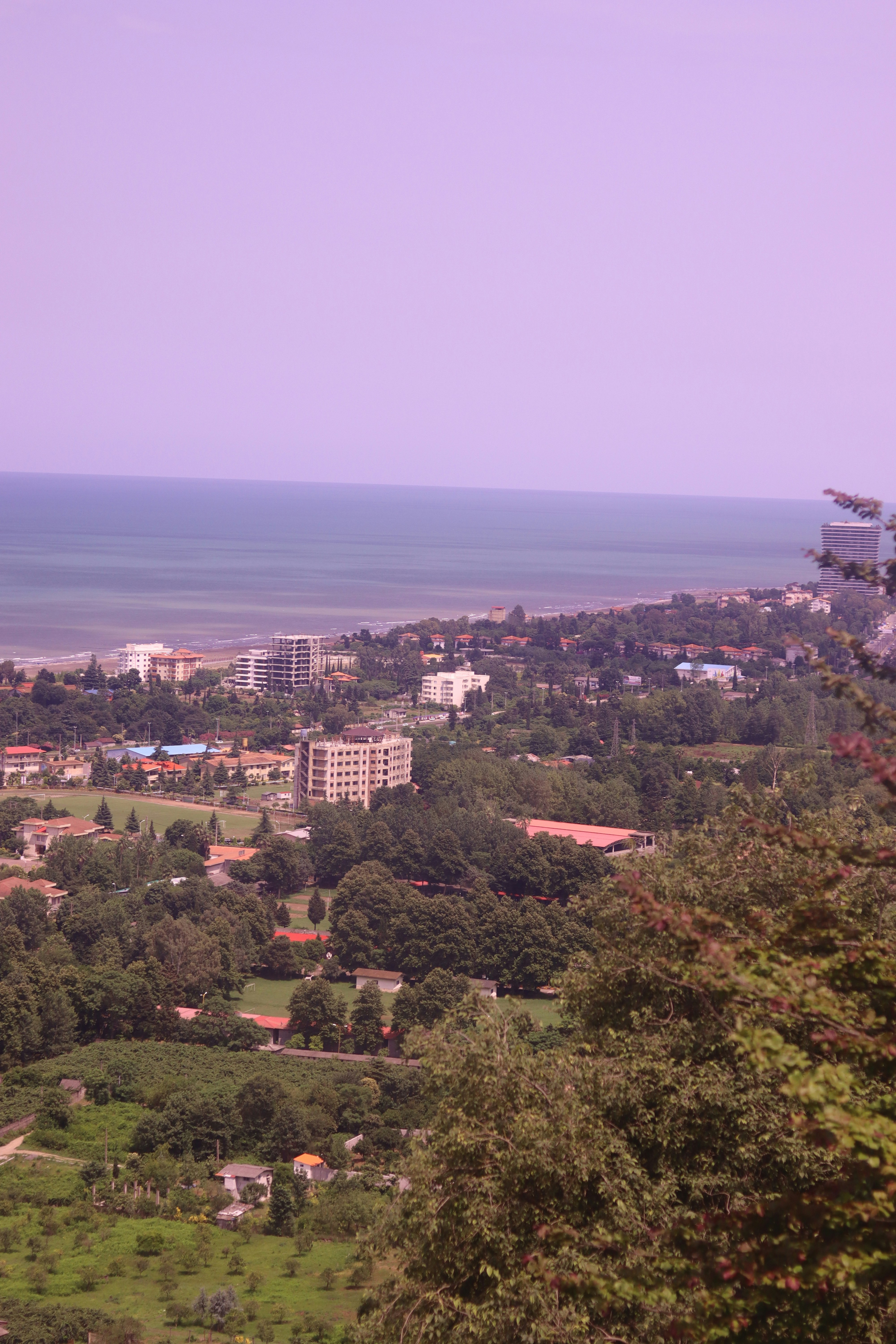Coastal Serenity: A Panoramic Embrace of Nature and Urban Life