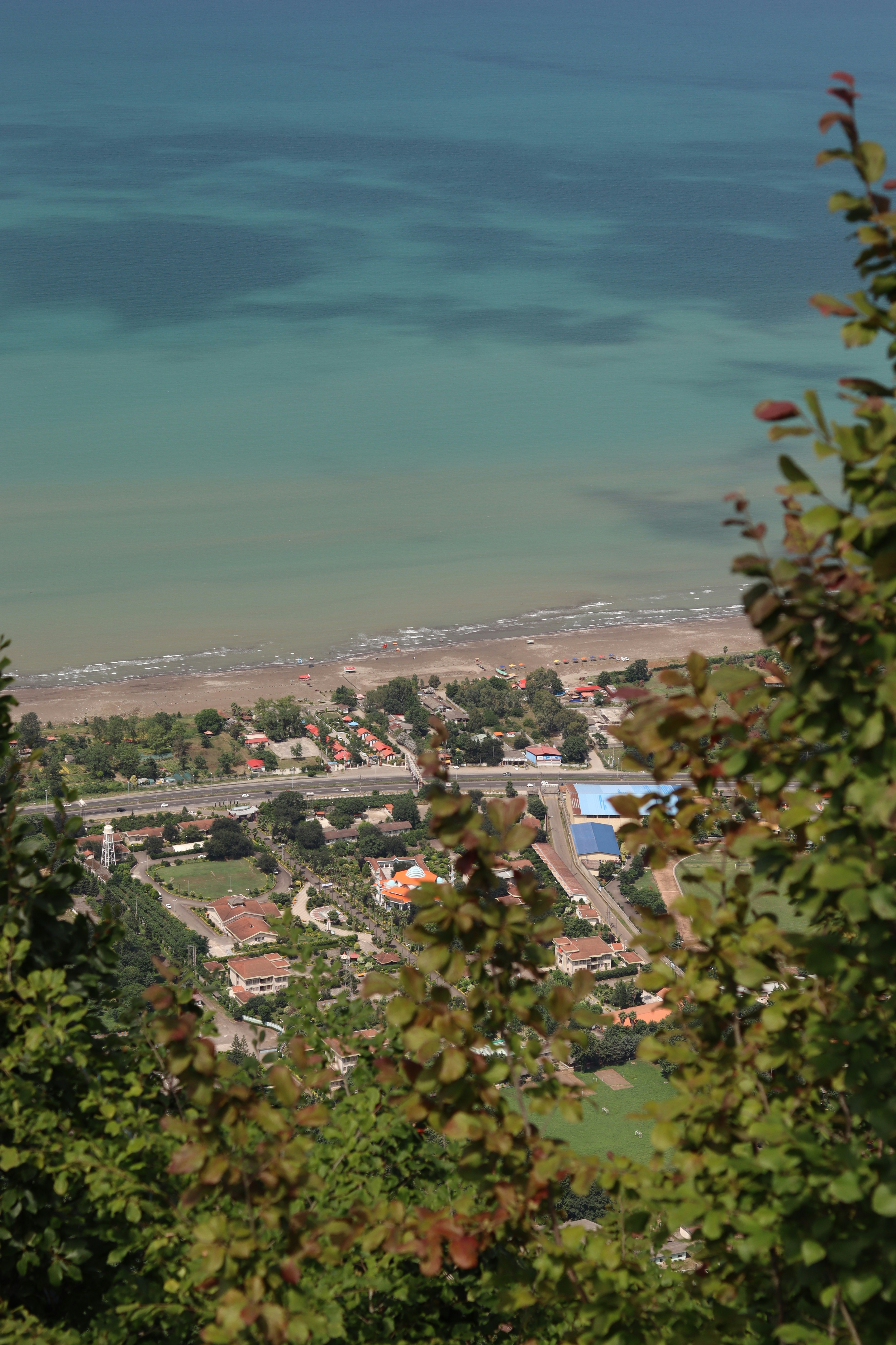 Serene Coastal Overlook: Nature Meets Urban Life