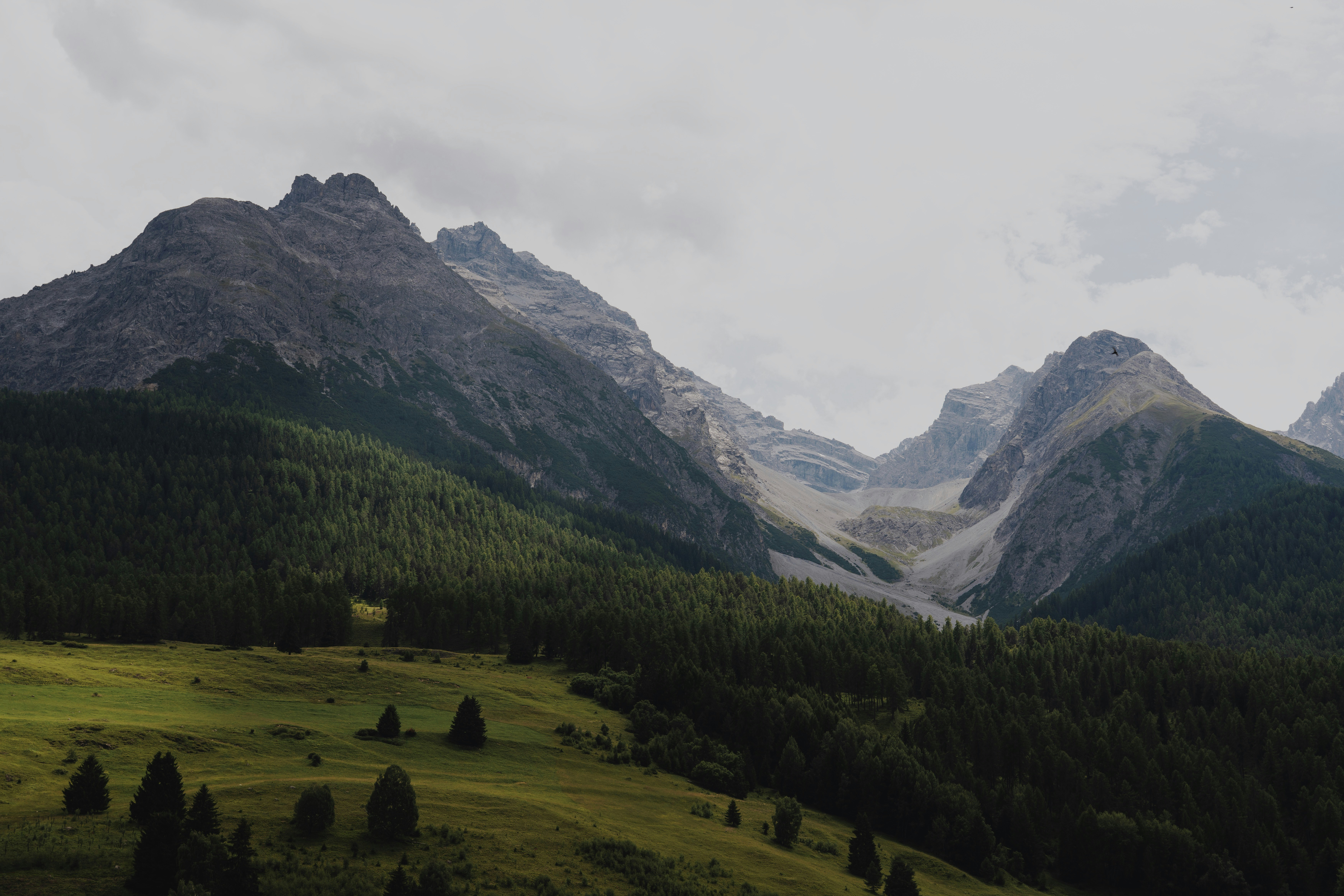 Mountains rise above a green forest. photo – Free Forest Image on Unsplash