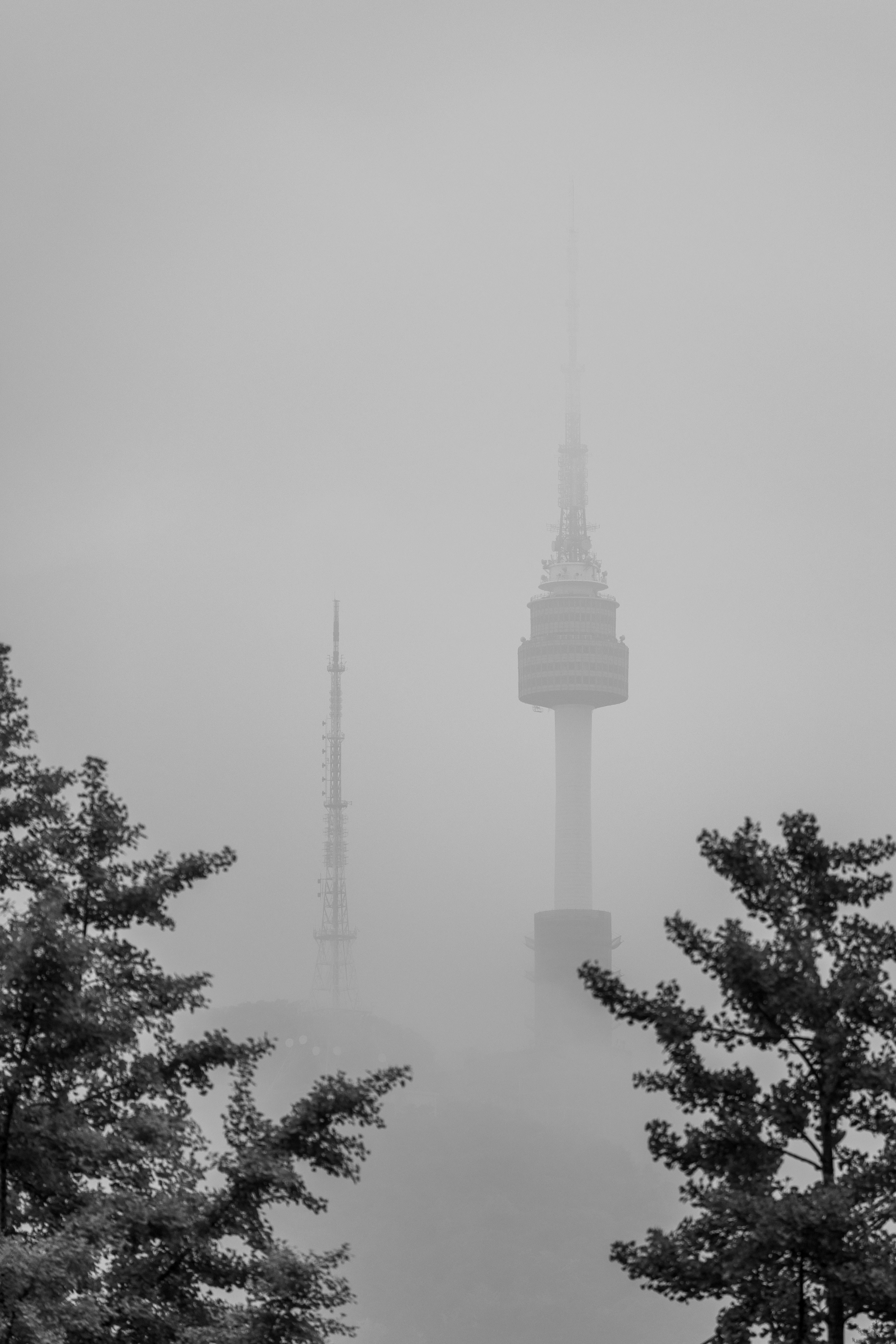 Whispers of the Skyline: A Tower Emerges from the Mist