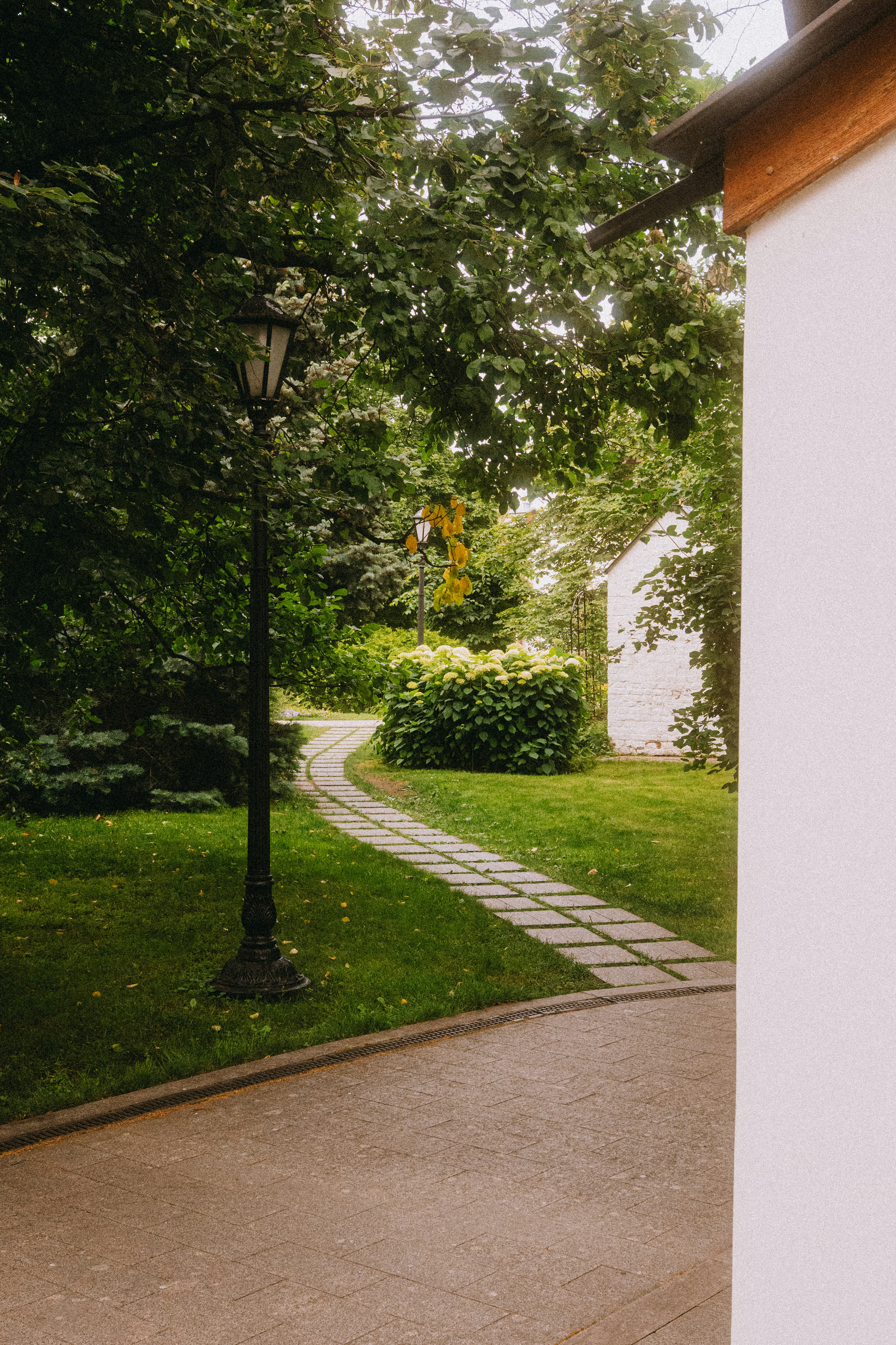 Photo by Andrey Strizhkov with Nikon Z8