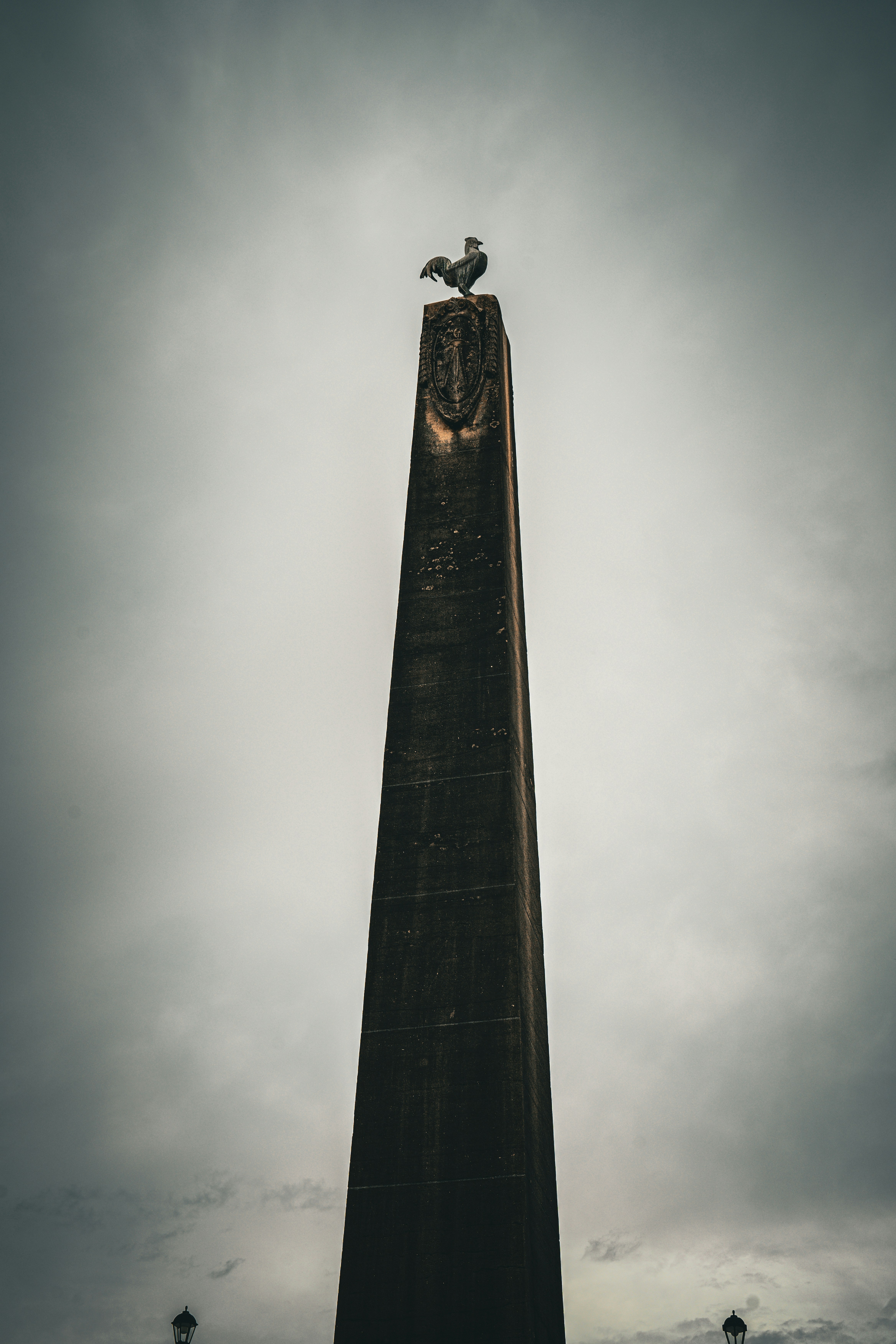 A bird perches atop a tall monument.