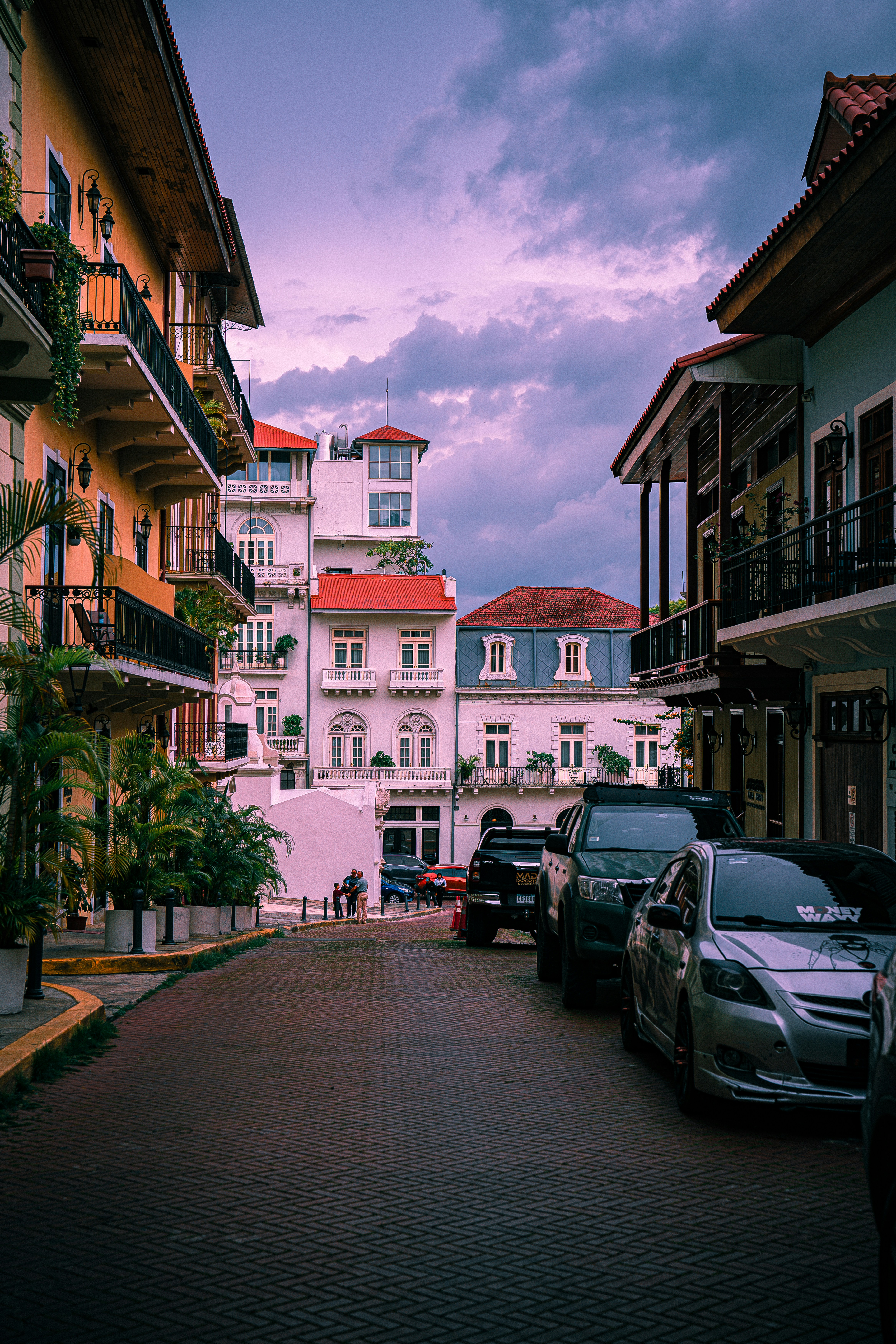 Urban Serenity: A Glimpse into City Life
