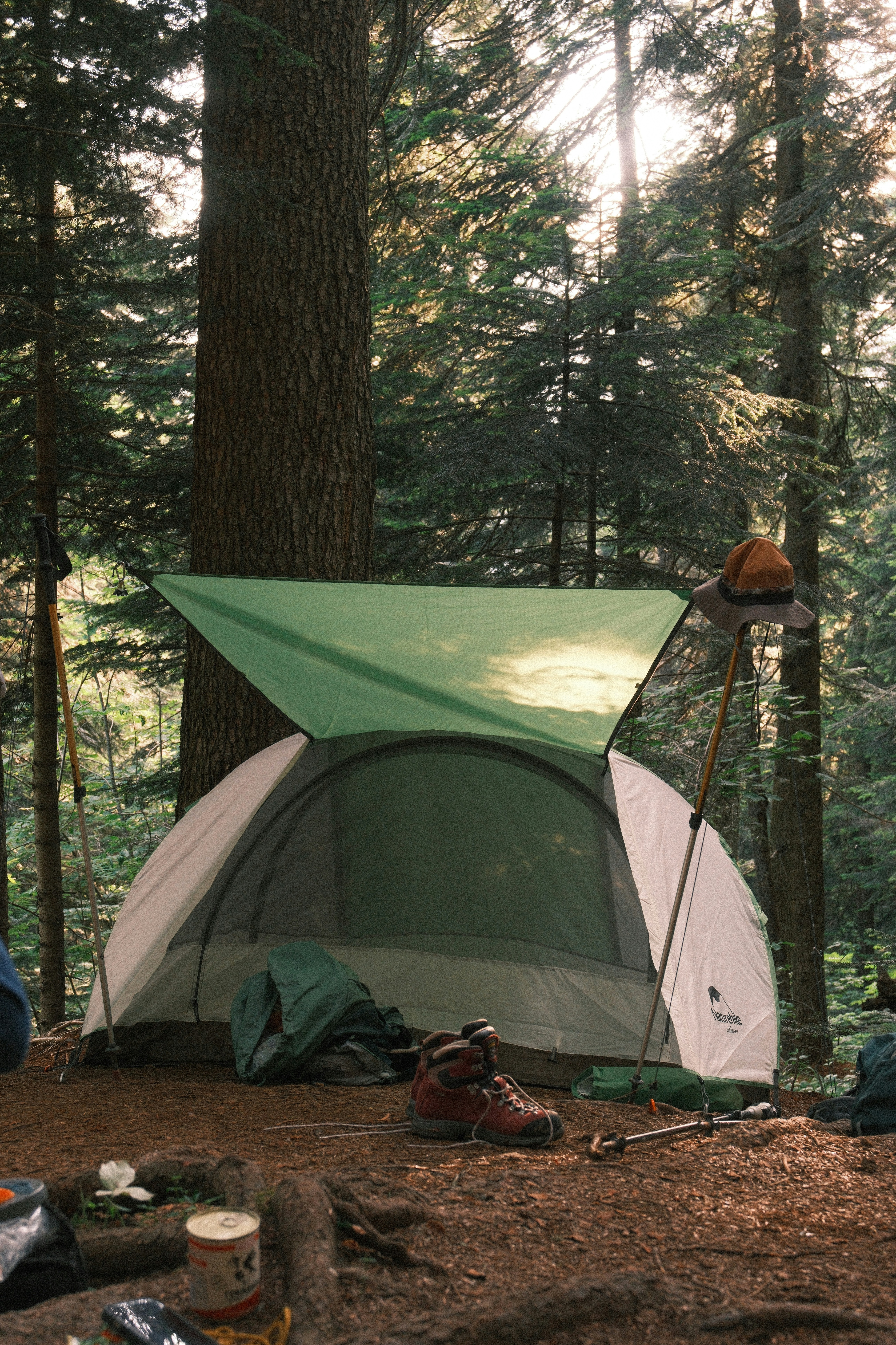Green tent nestled among towering trees in a tranquil forest setting, with hiking gear and a soft light filtering through the foliage.