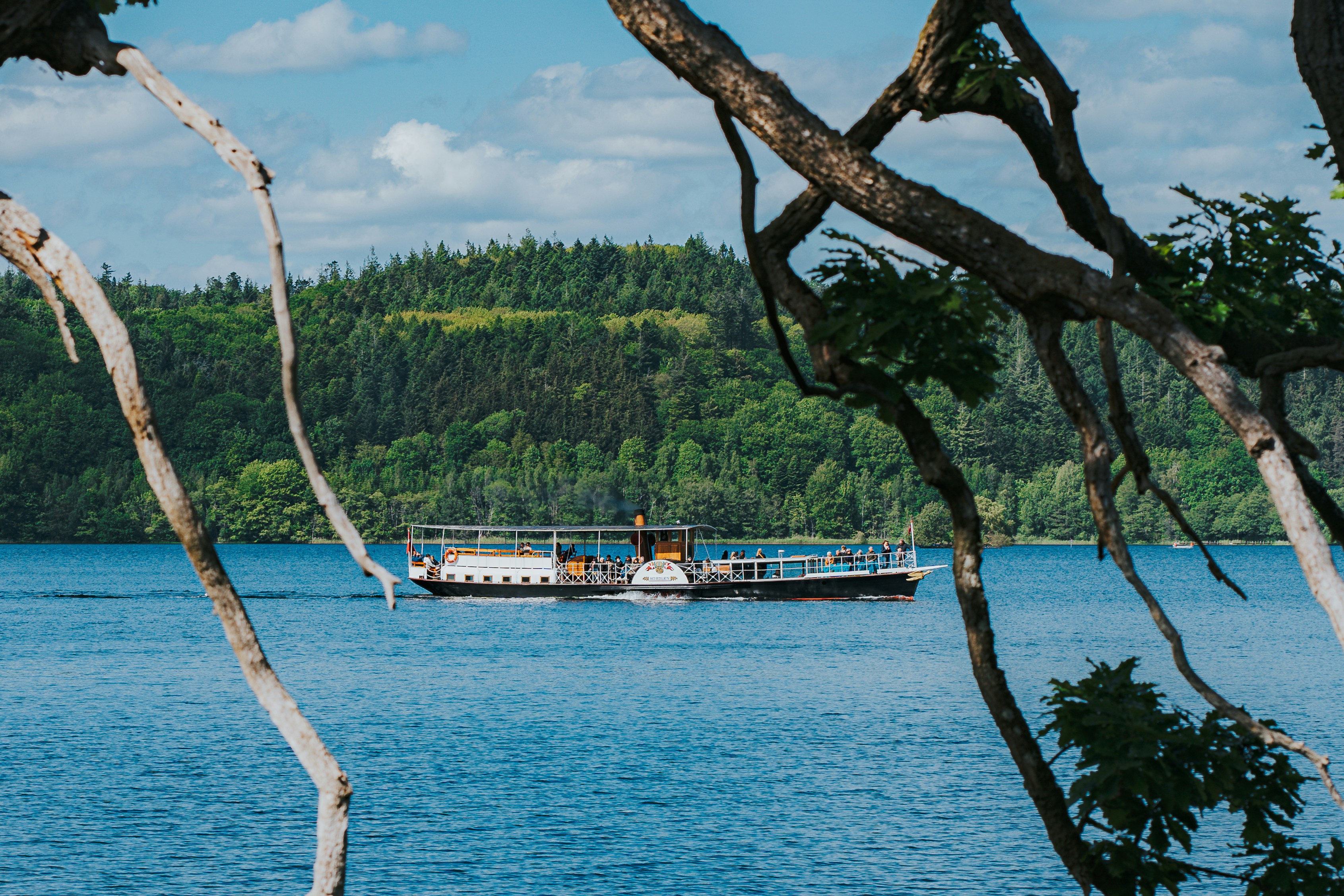 A Serene Voyage Through Nature's Frame