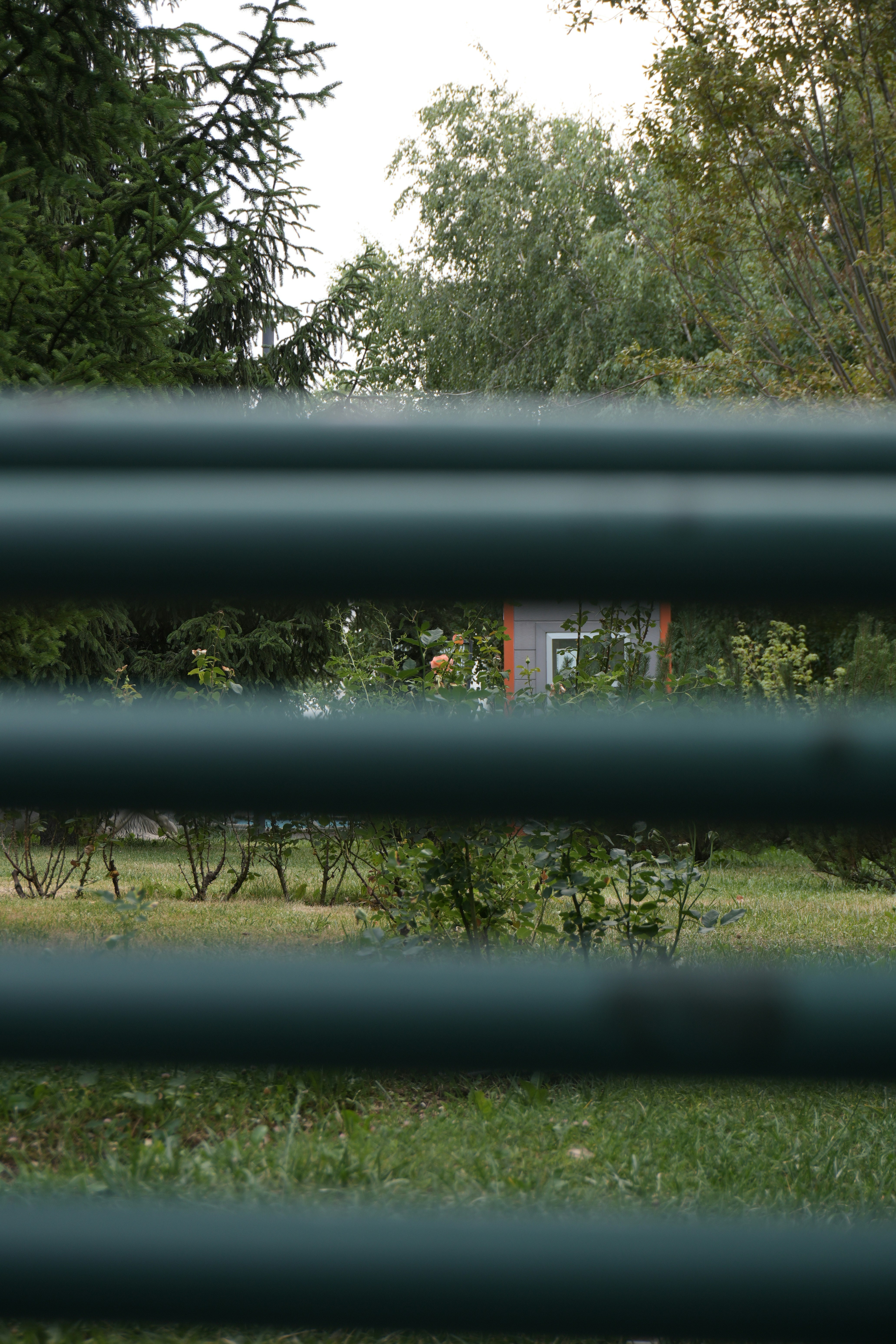 Through the Slats: A Glimpse of Nature's Serenity