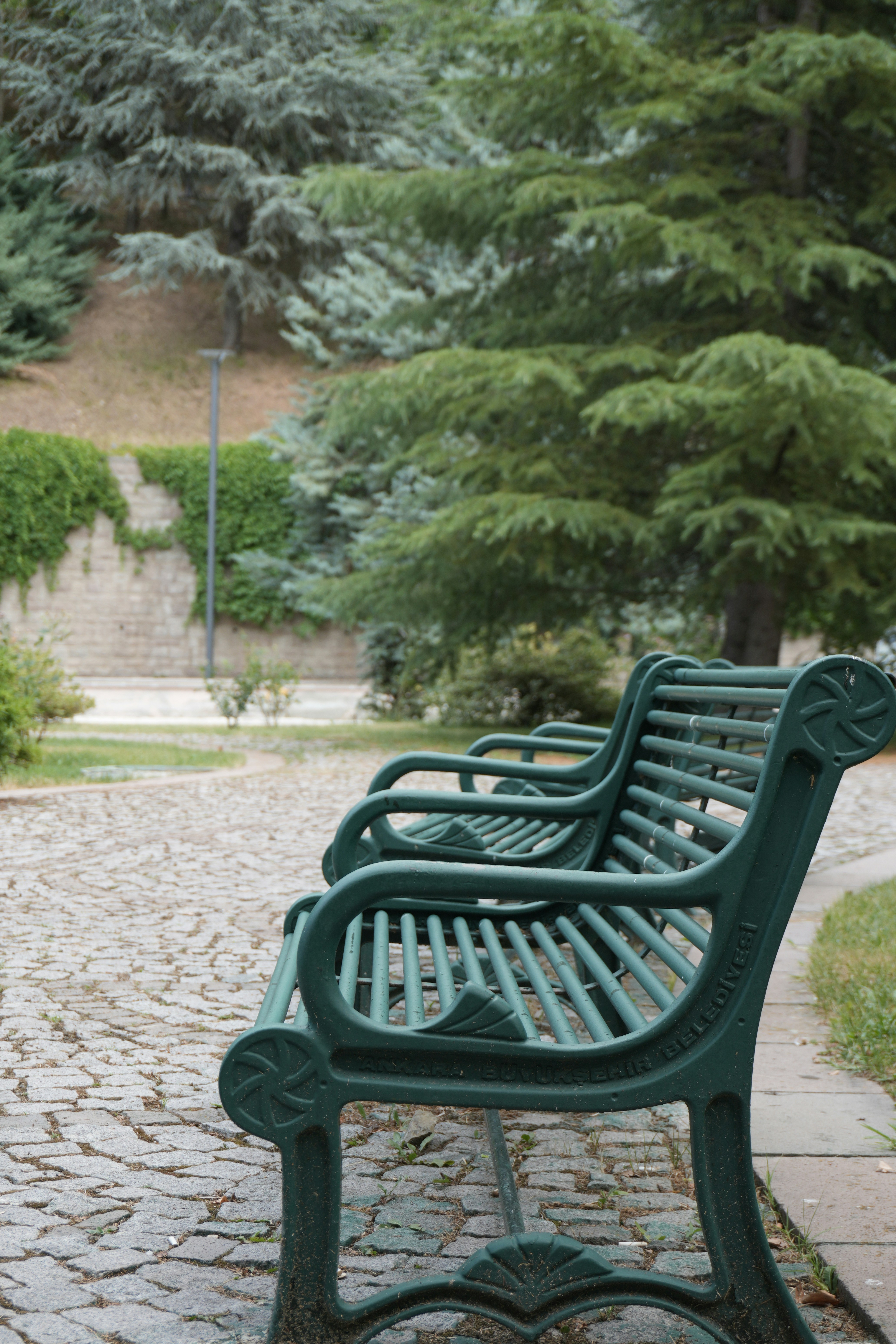 Empty park benches sit under trees.