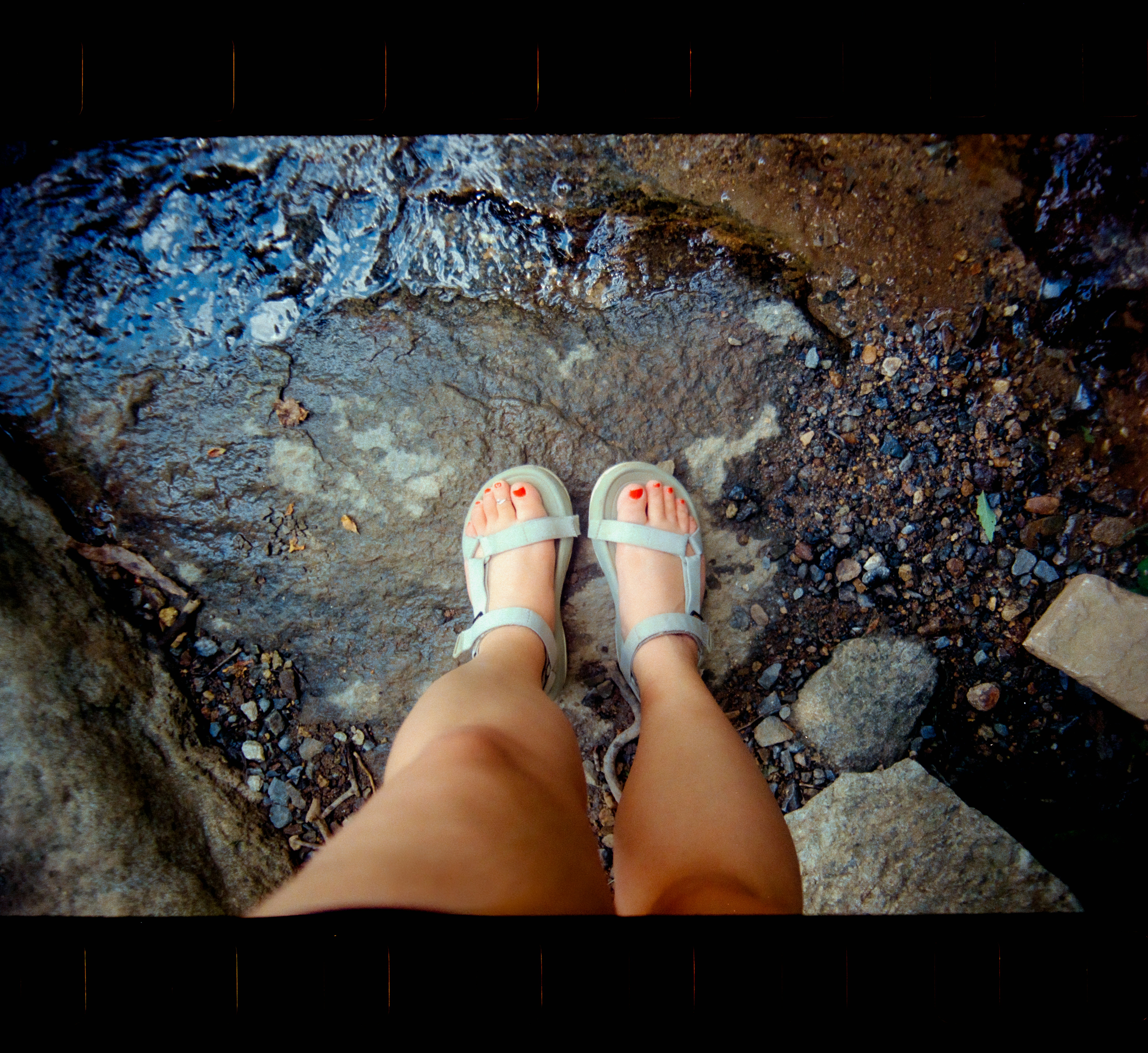 Steps into Nature's Embrace