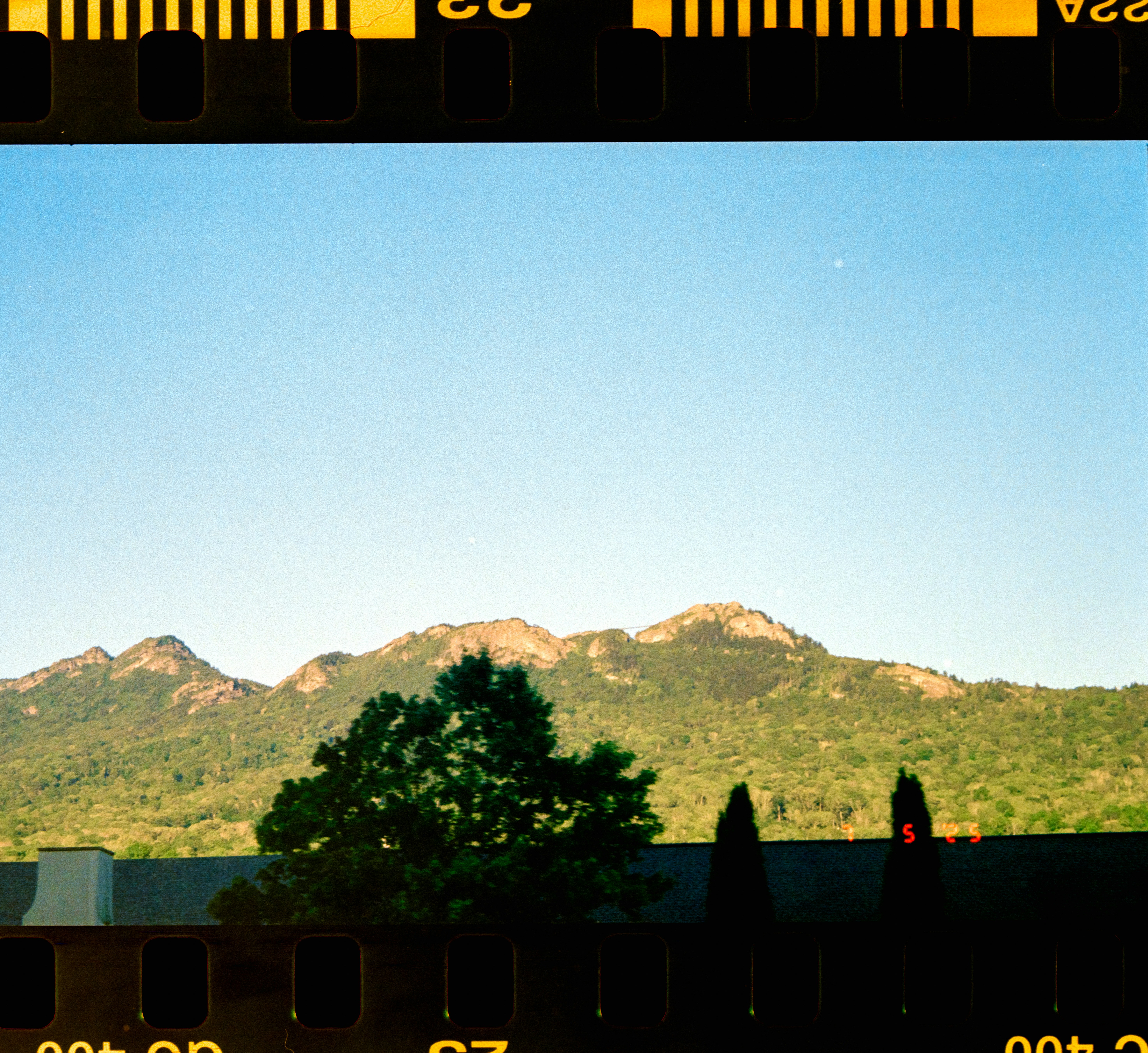 Mountains rise above a lush tree and rooftops.