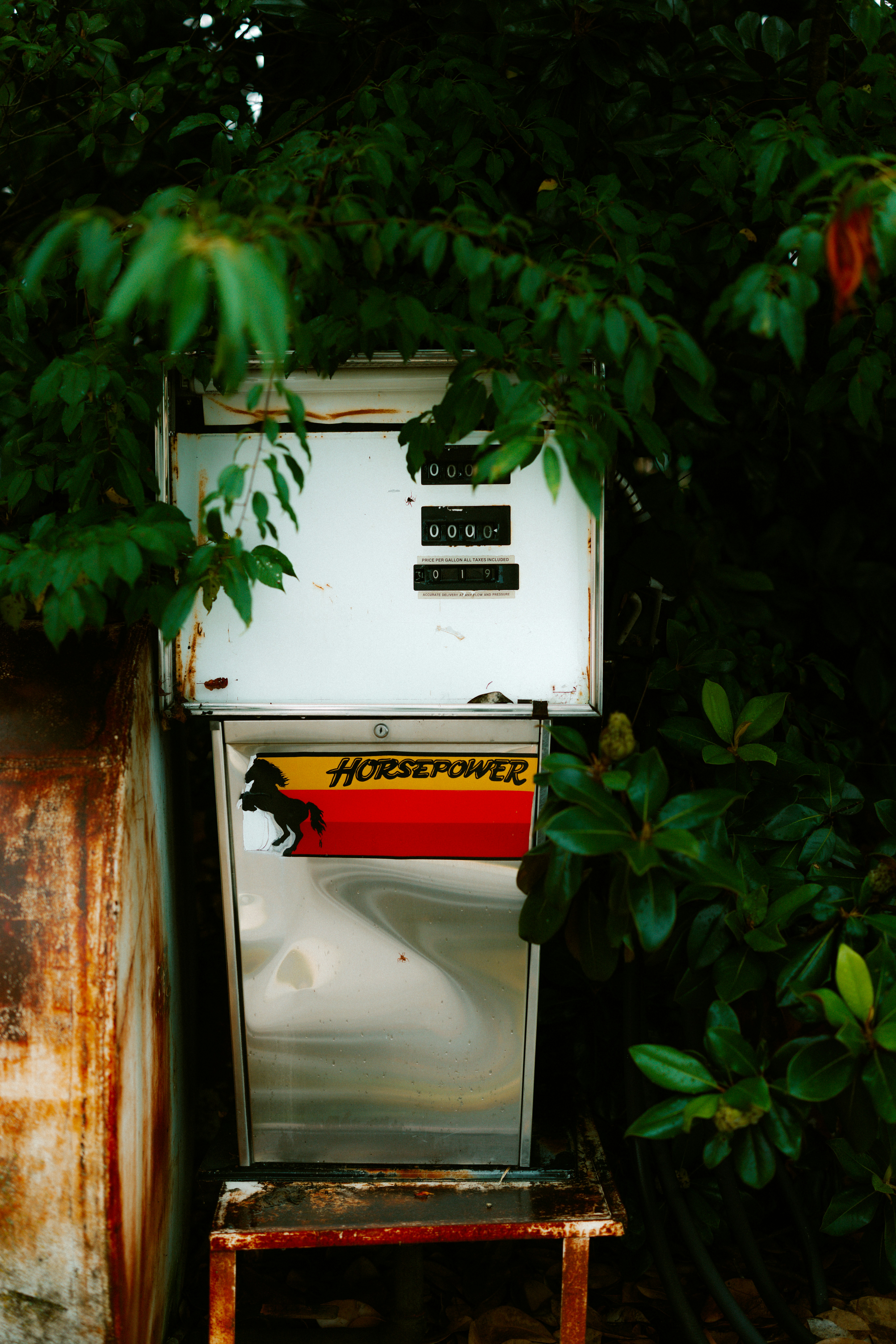 An old gas pump sits in the overgrown foliage.
