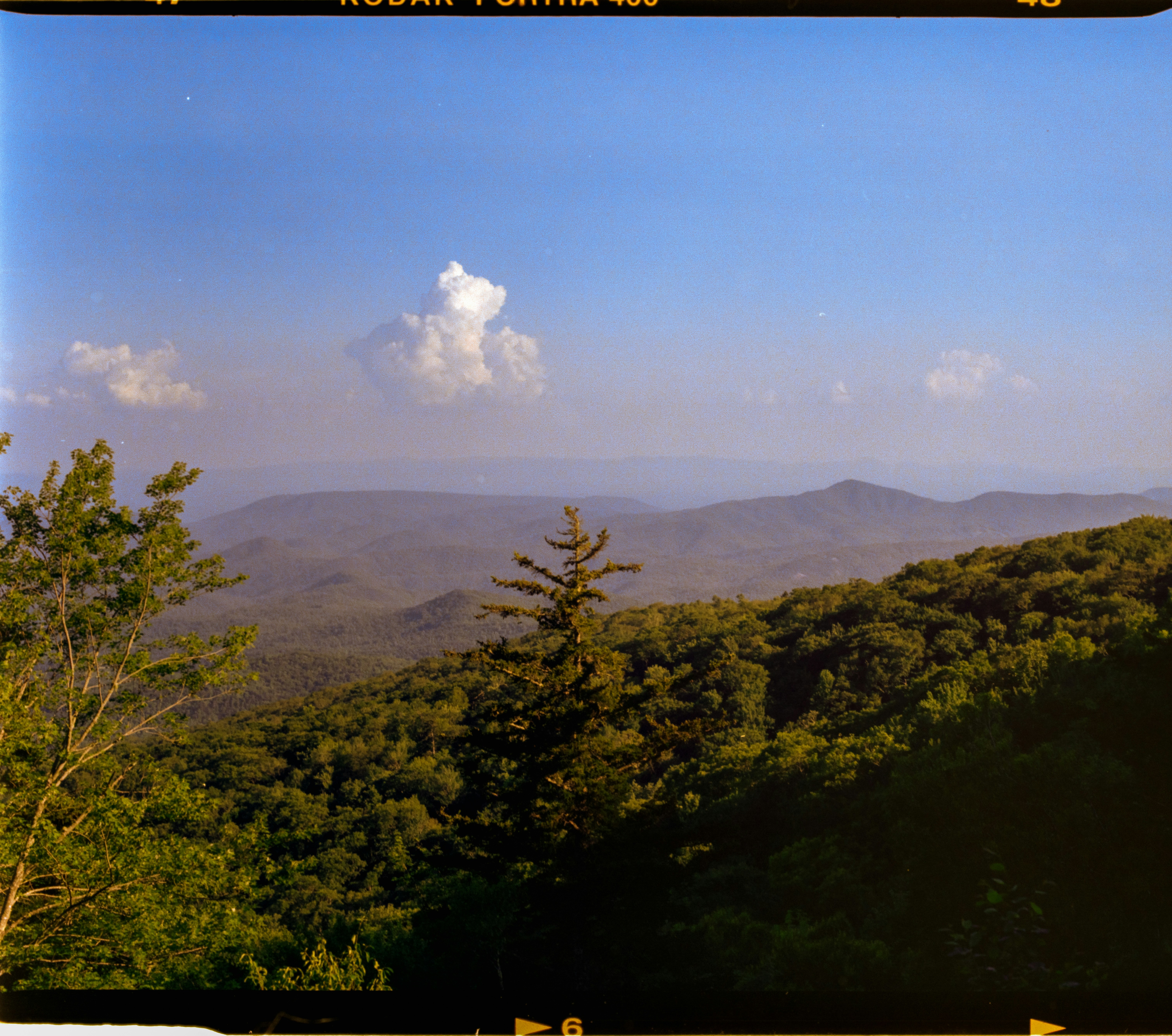 Whispers of the Appalachian Horizon