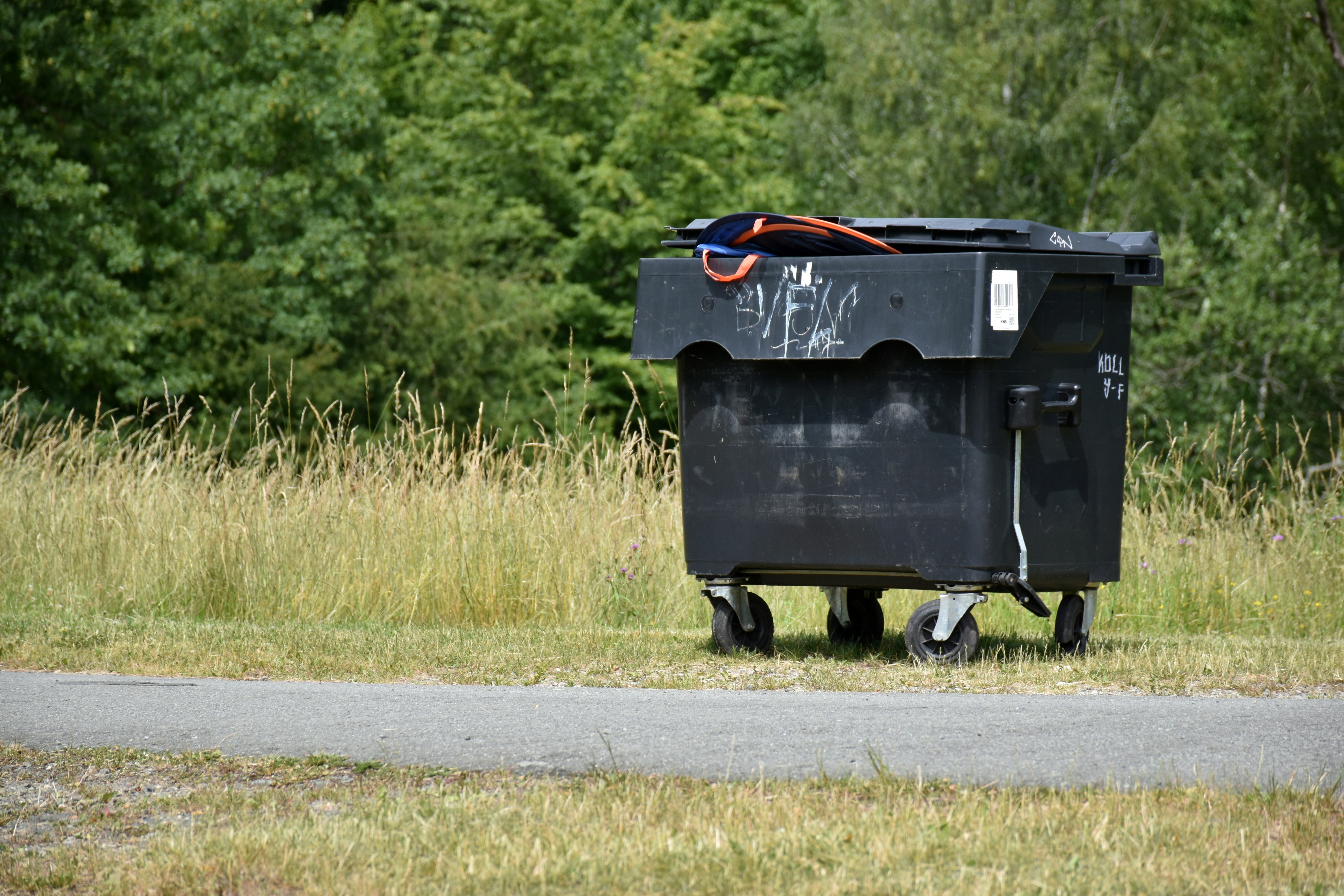 A dumpster in the landscape (Waste - garbage - junk) | A trash bin sits beside a path.