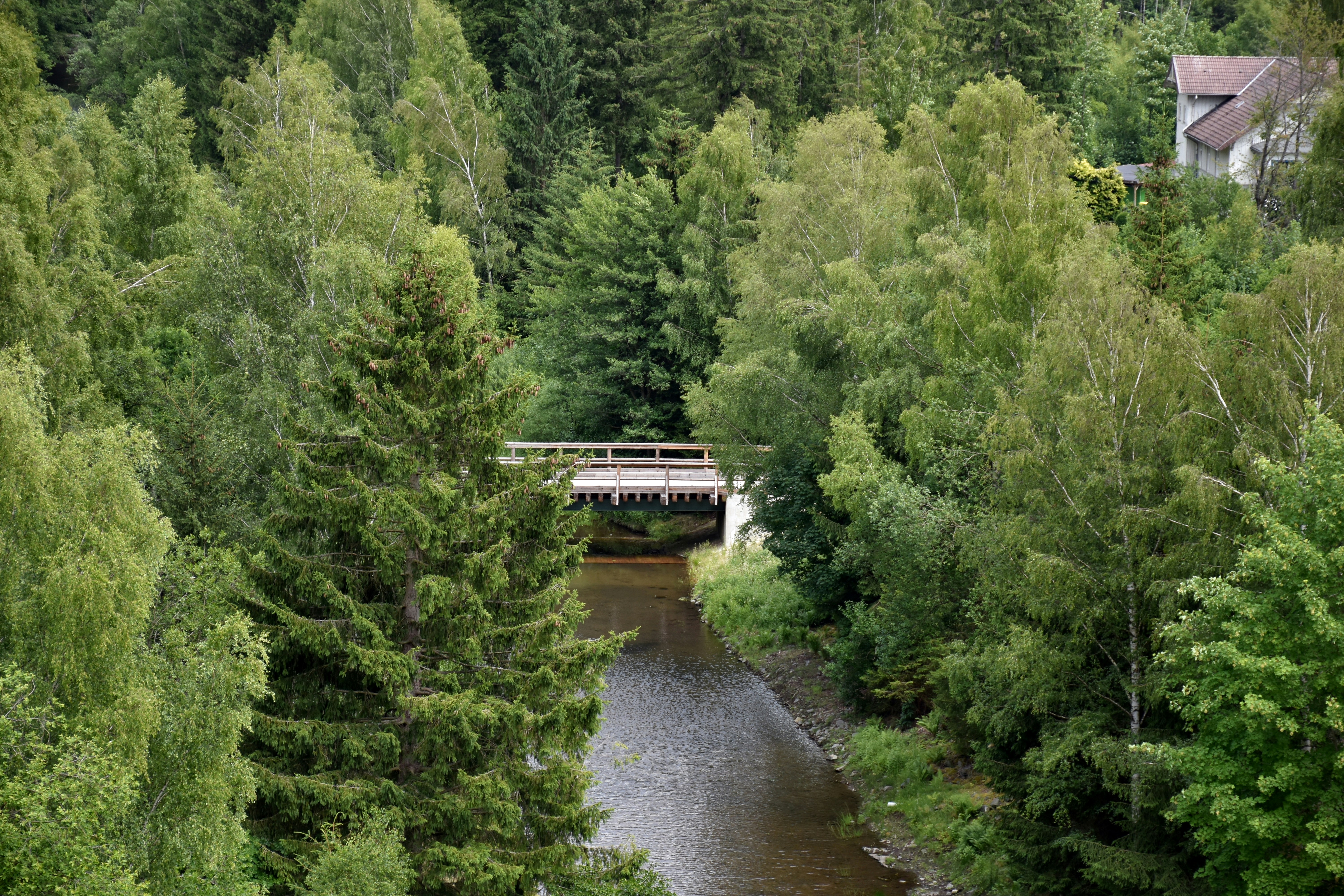 A bridge in the middle of the forest (Travel - nature) | A bridge spans a river through a forest.