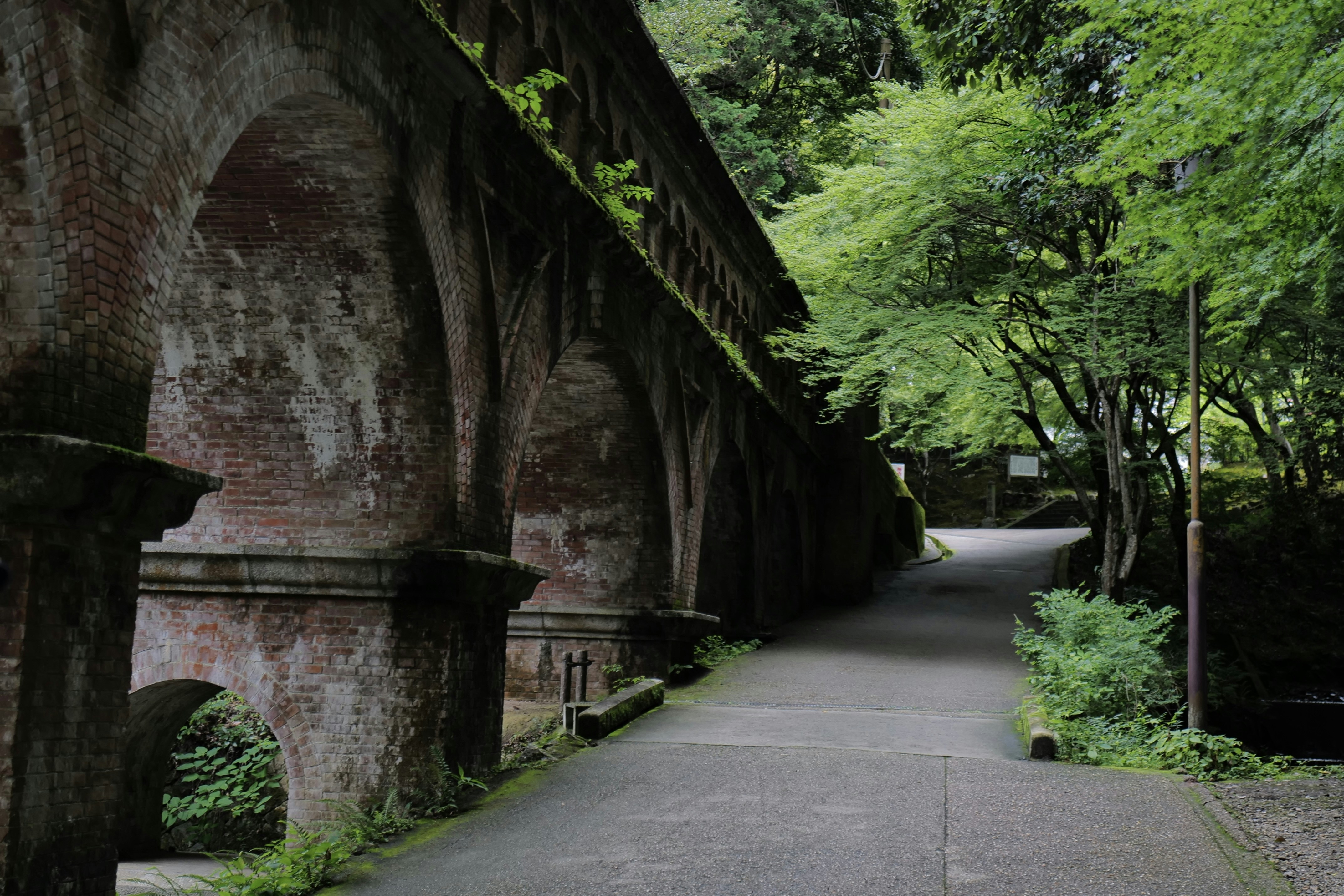Whispers of Nature Beneath the Arched Pathway